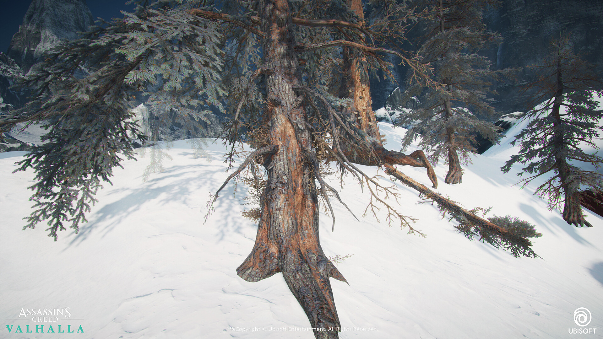 Samuil Munis - Assassin's Creed Valhalla - Iron Forest Trees