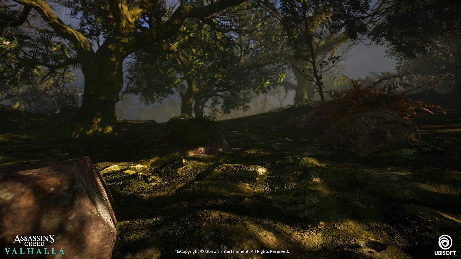 Samuil Munis - Assassin's Creed Valhalla - Wistman's Forest Models