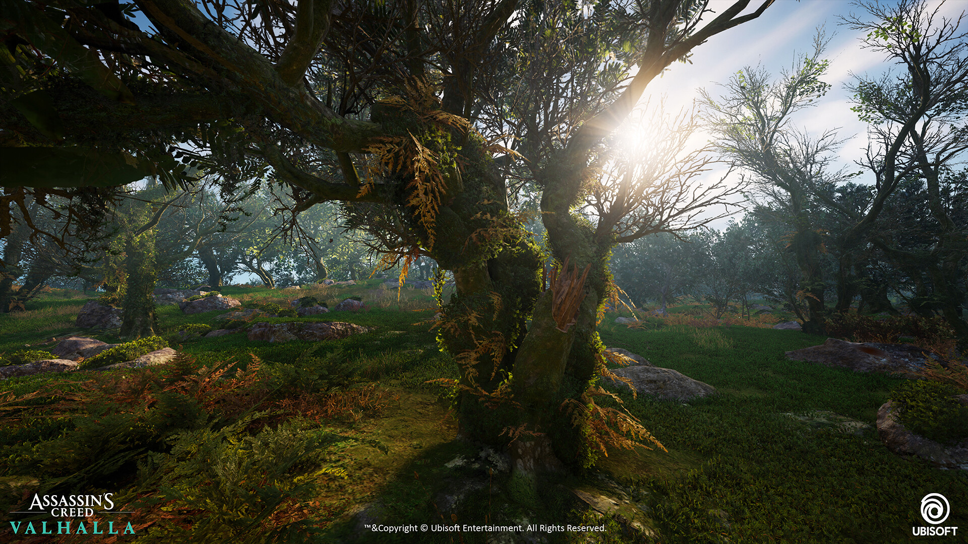 Samuil Munis - Assassin's Creed Valhalla - Wistman's Forest Models