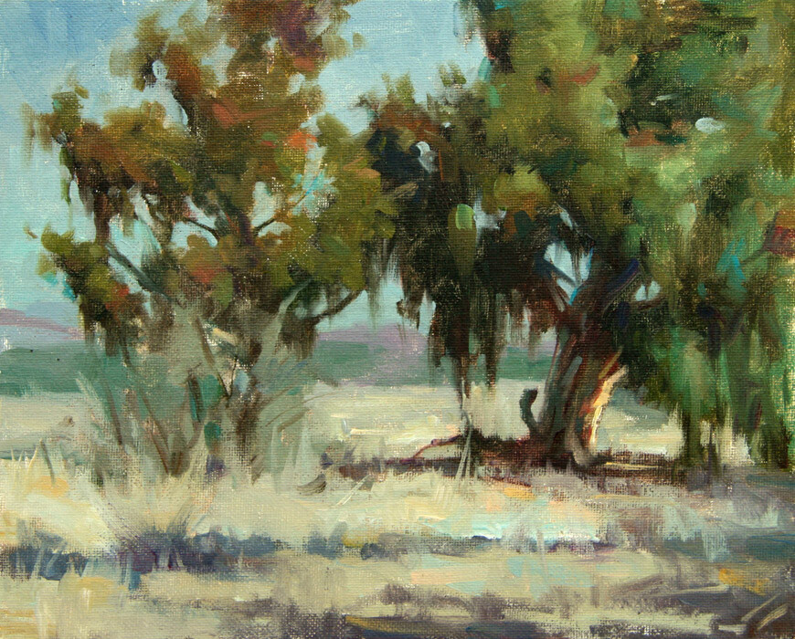 Stan Prokopenko - San Eligo Eucalyptus