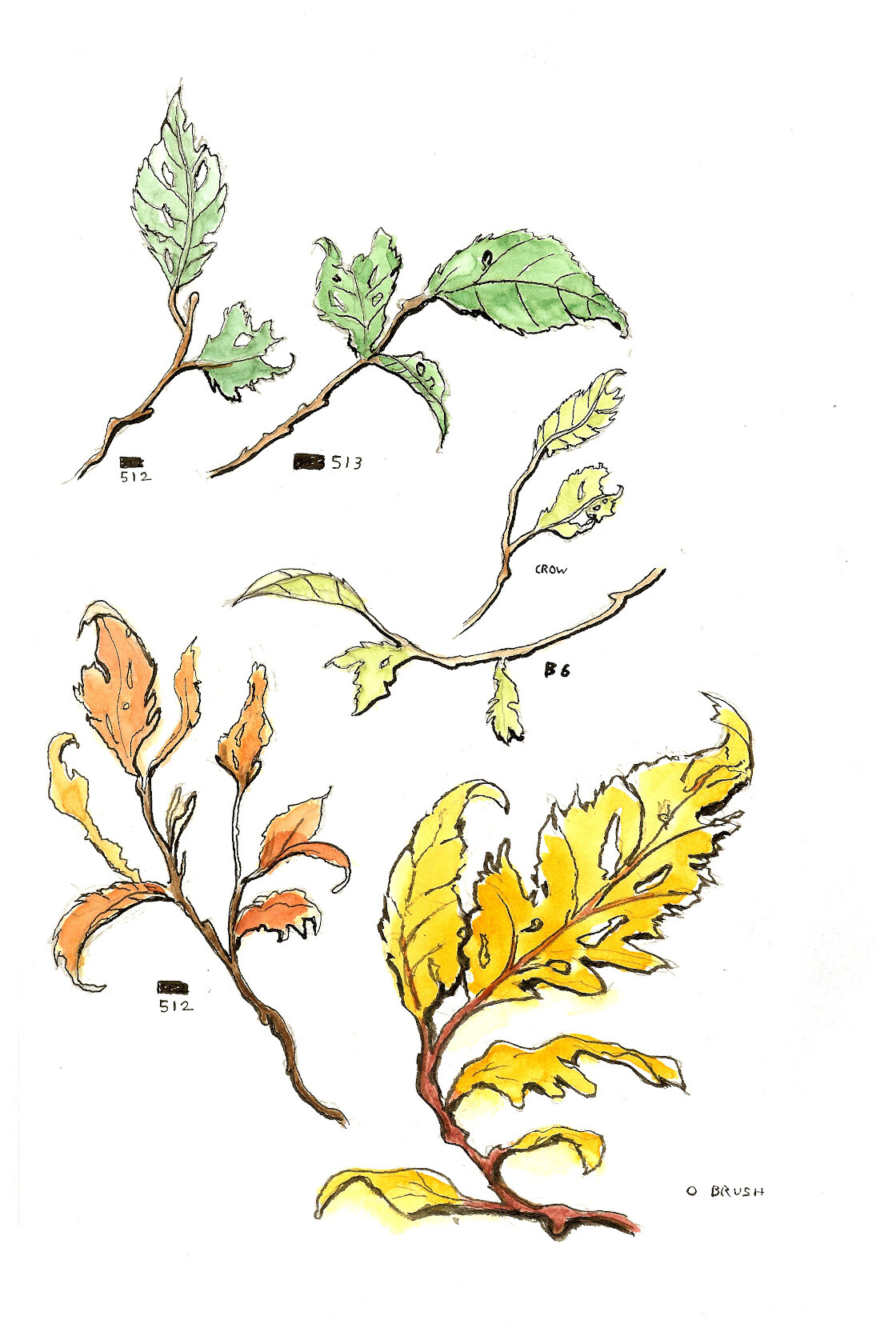ArtStation - Leaf Studies 01