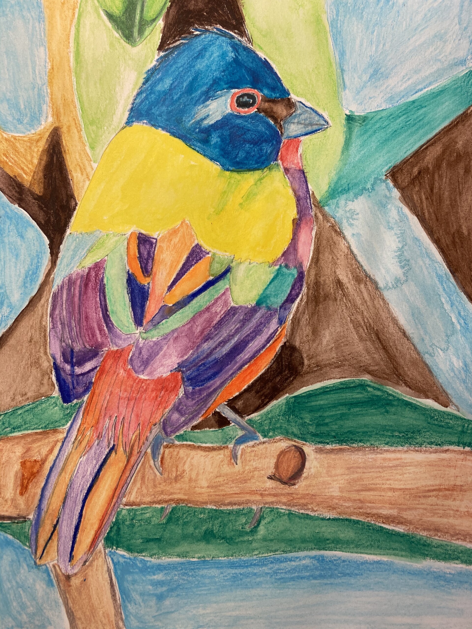 ArtStation - Painted Bunting