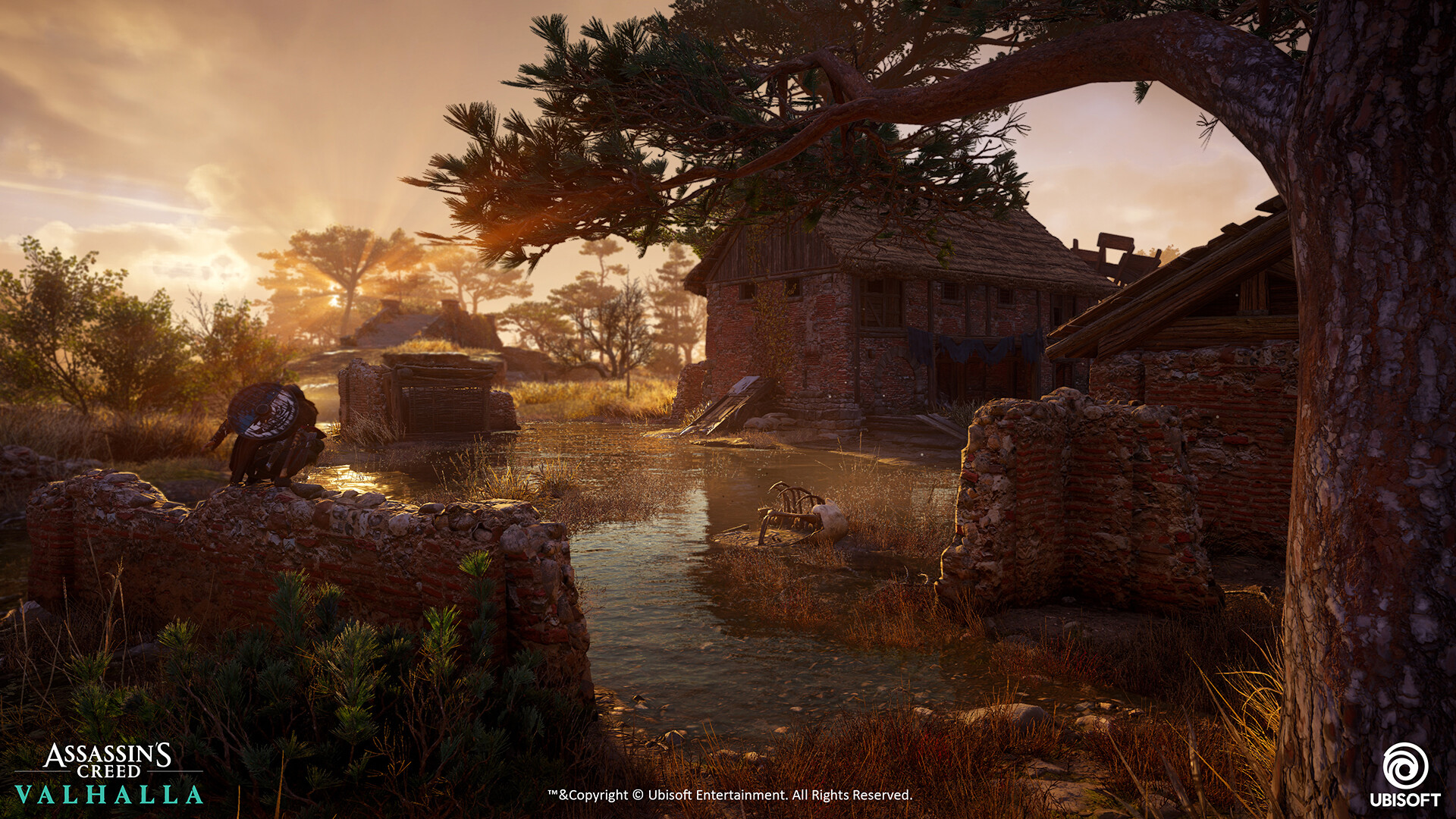 blue addone - Assassin’s Creed Valhalla