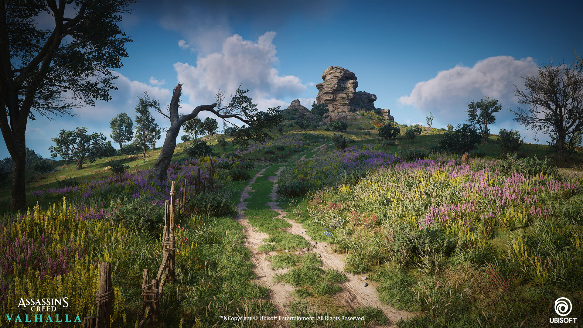 detelin-yonchev-6.jpg (1920×1080)-花瓣网