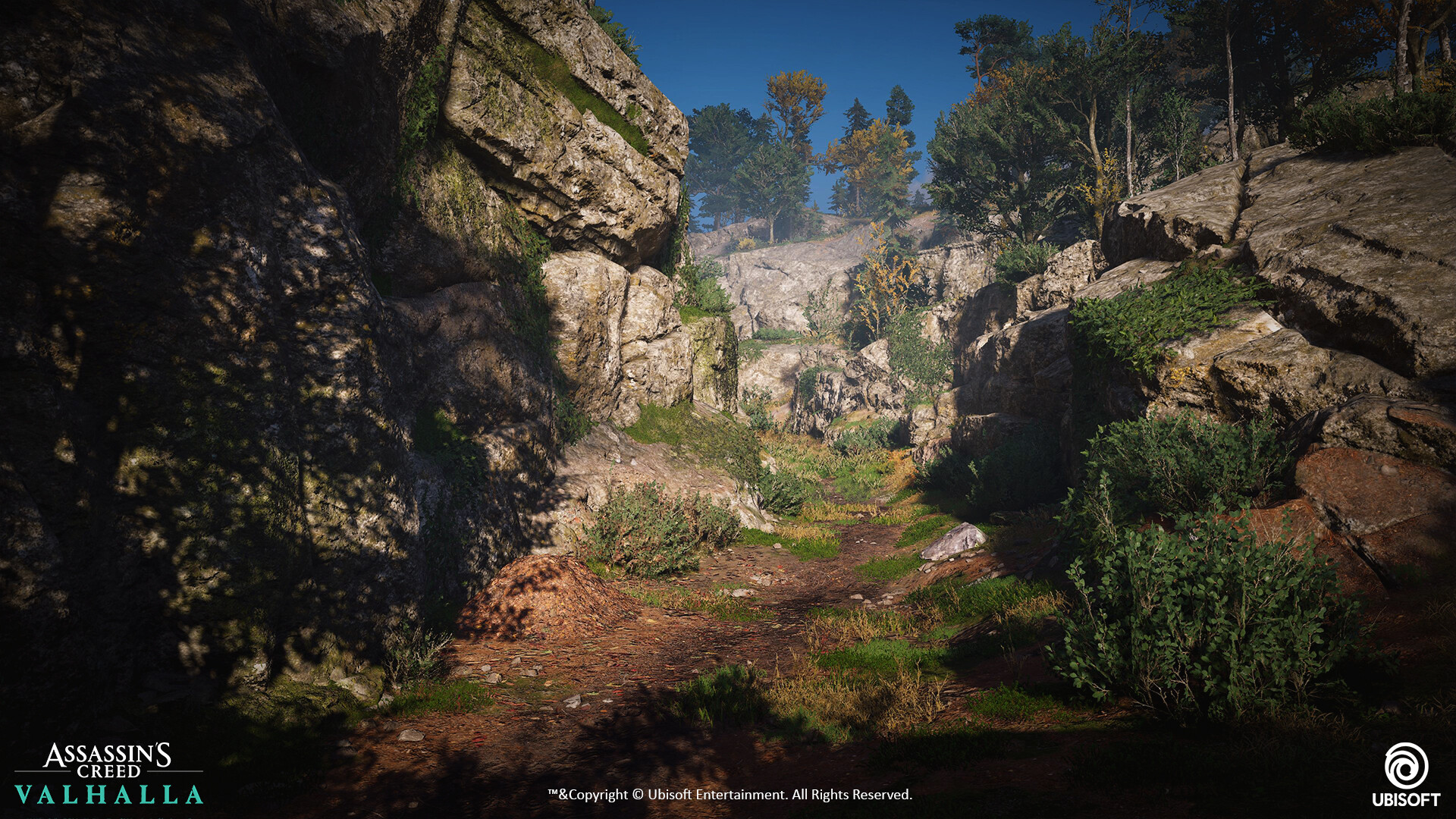 detelin-yonchev-02.jpg (1920×1080)-花瓣网