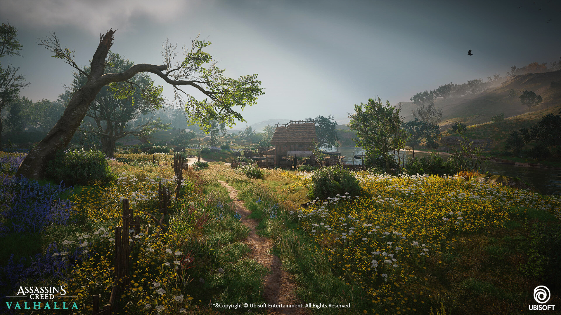 detelin-yonchev-222.jpg (1920×1080)-花瓣网