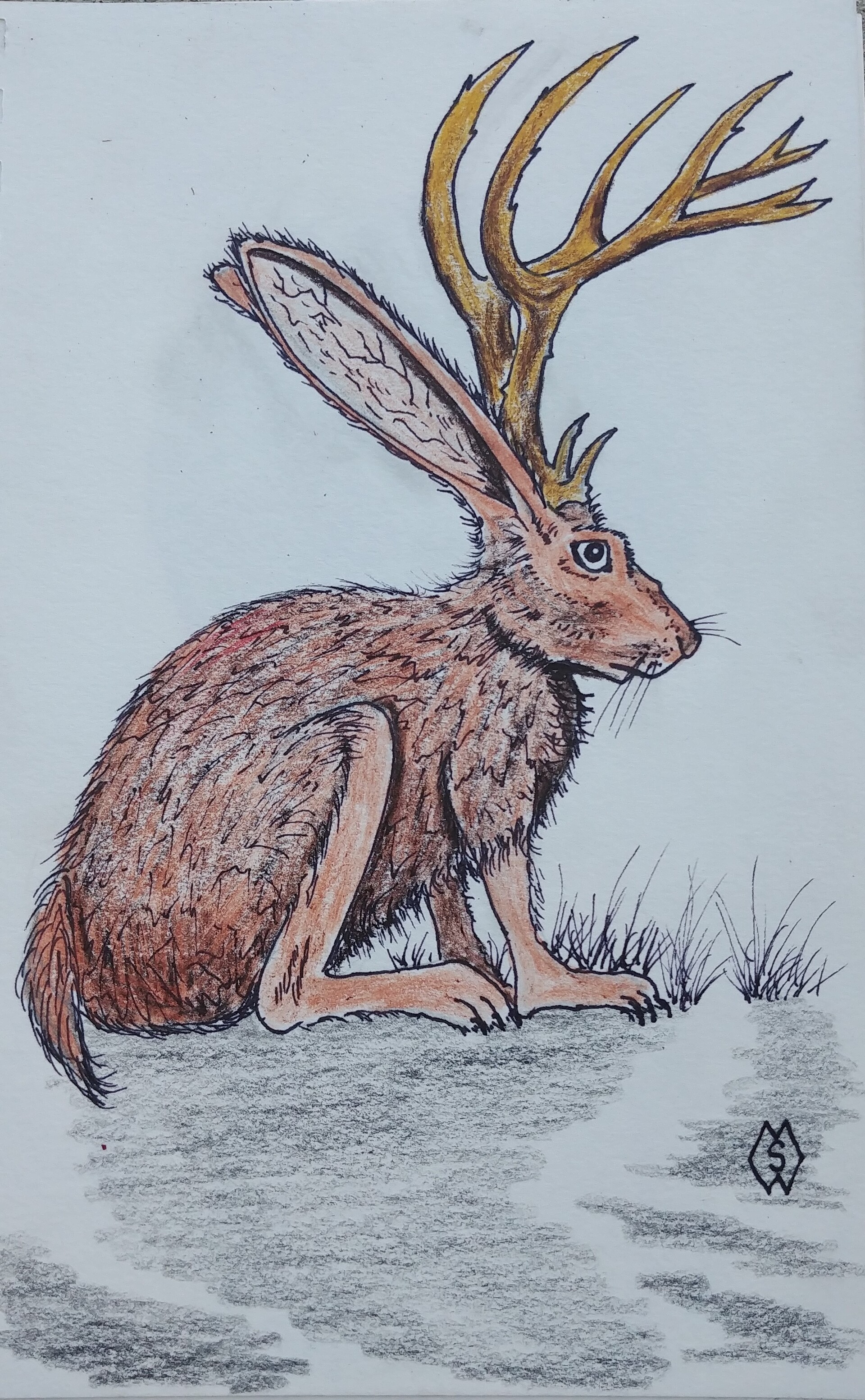 ArtStation - Jackalope