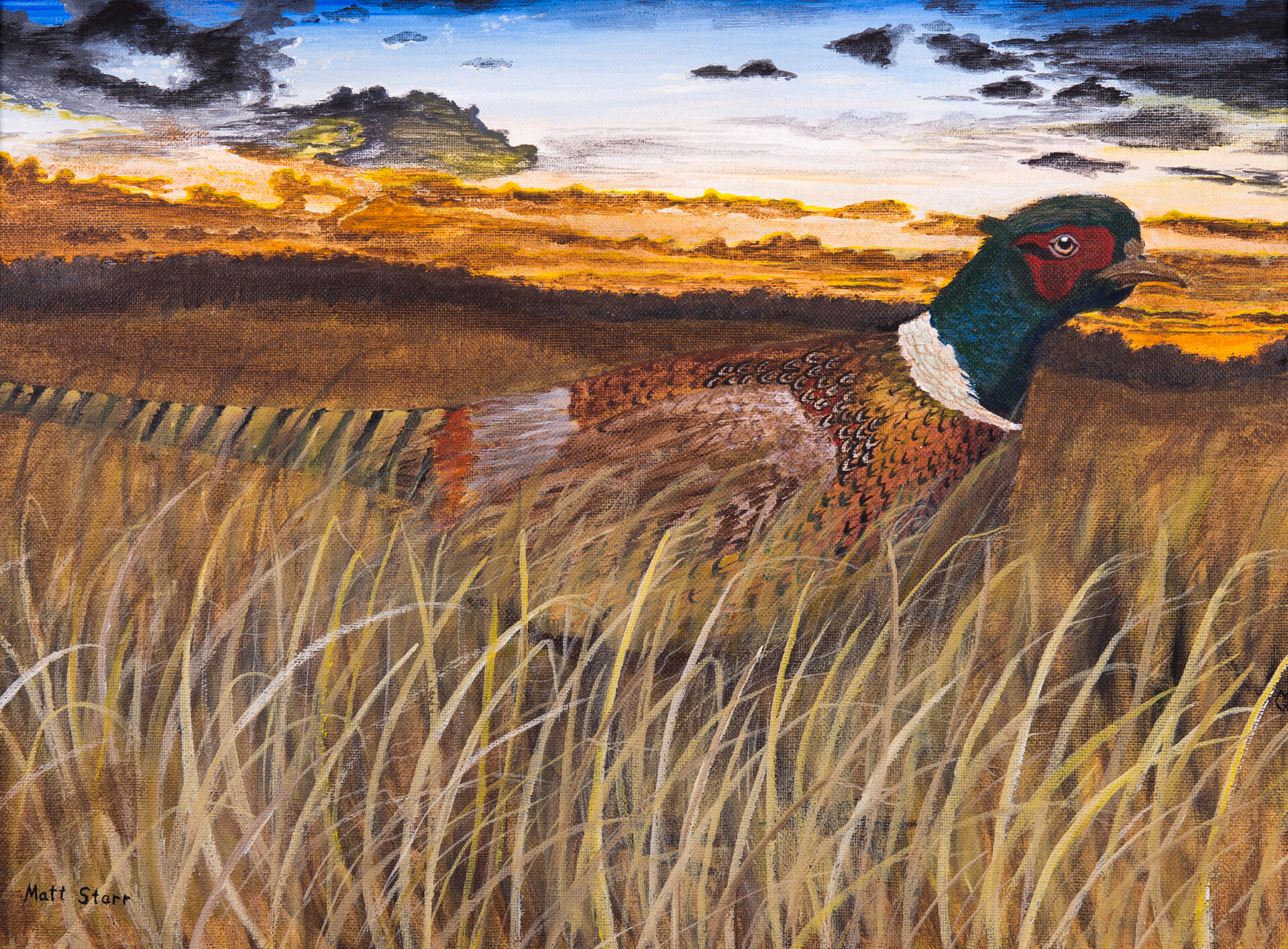 ArtStation - Pheasant at Sunset