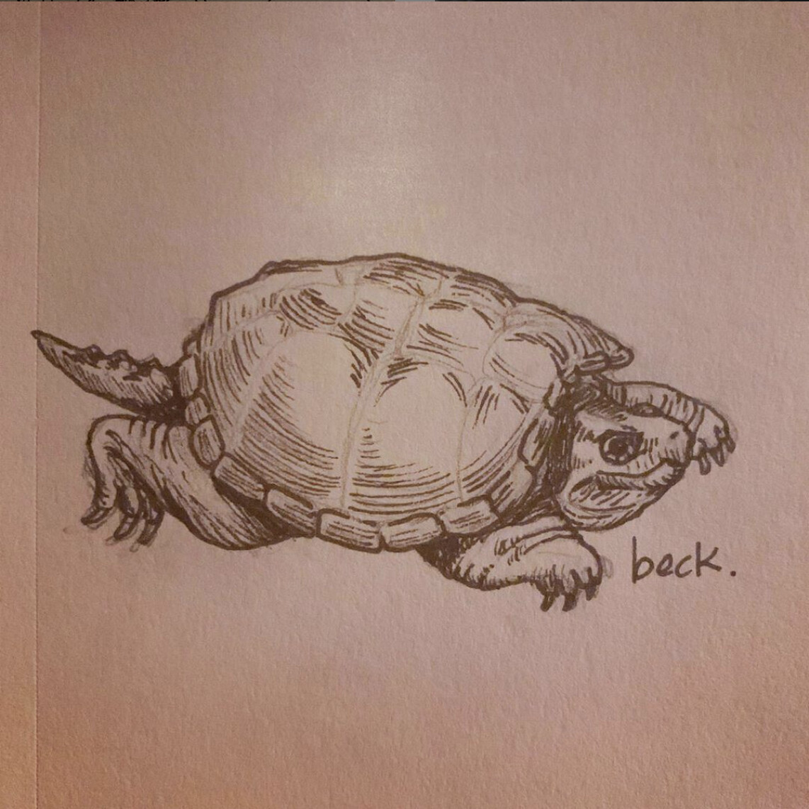 ArtStation - Snapping Turtle