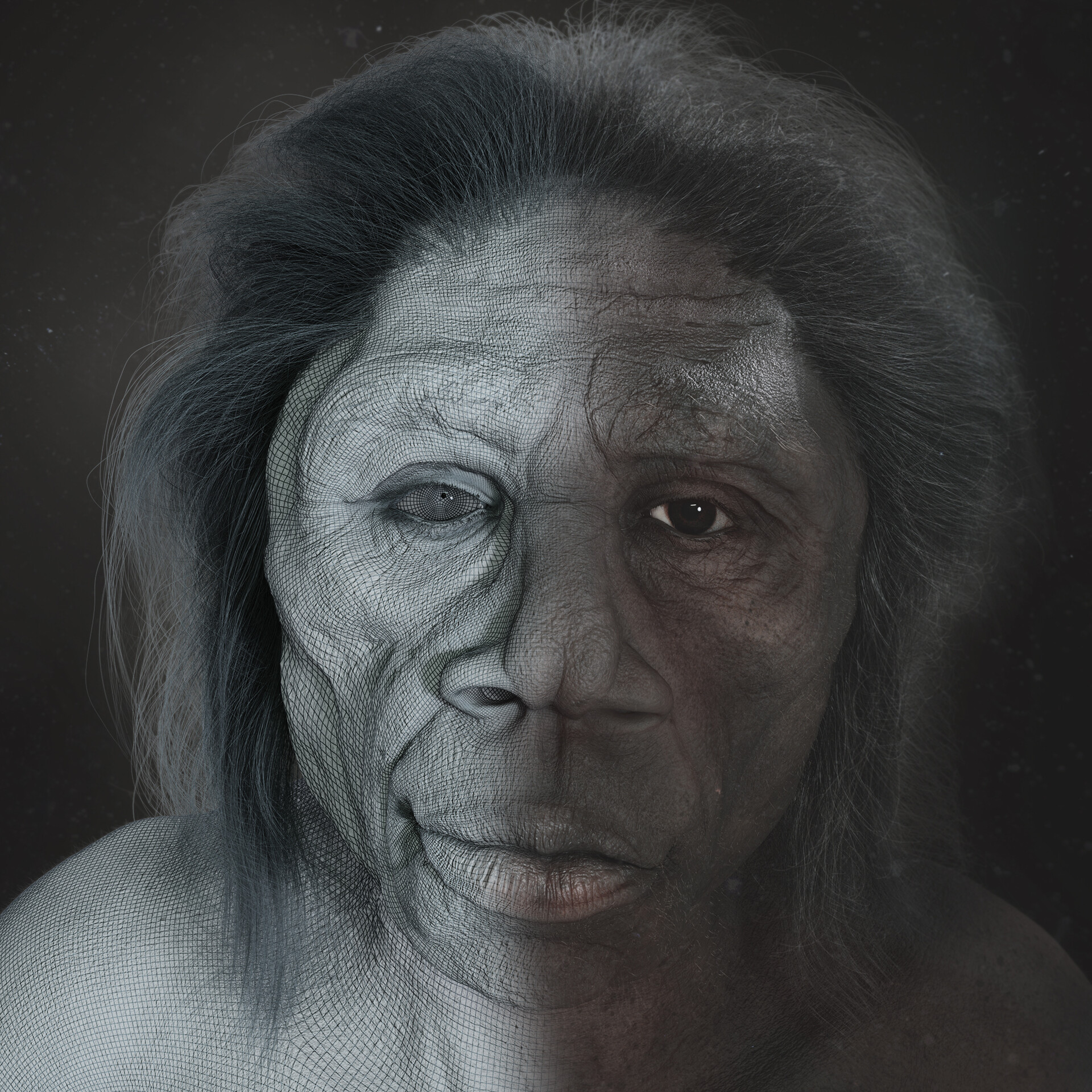 Arash Hadavi - Evolution