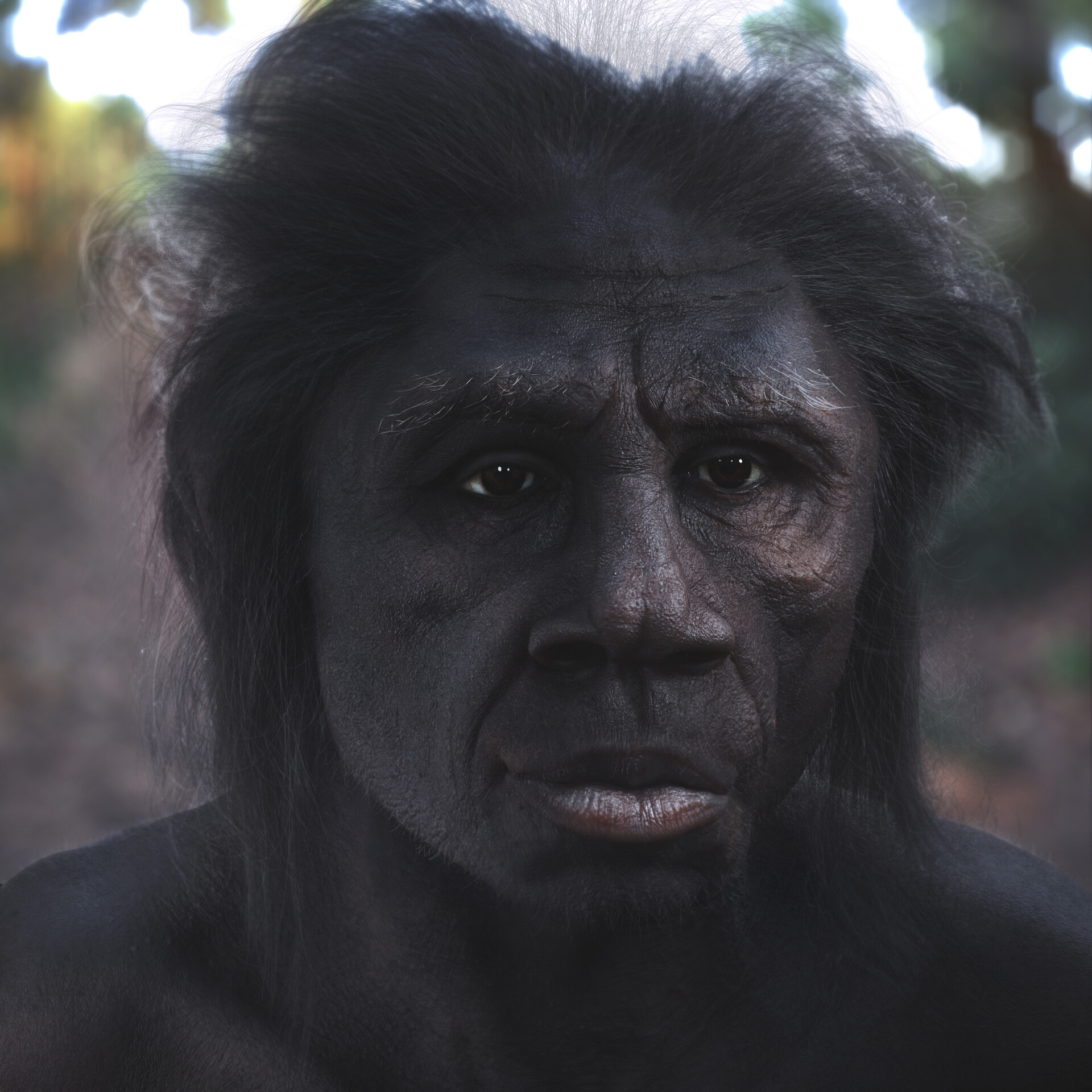 Arash Hadavi - Evolution