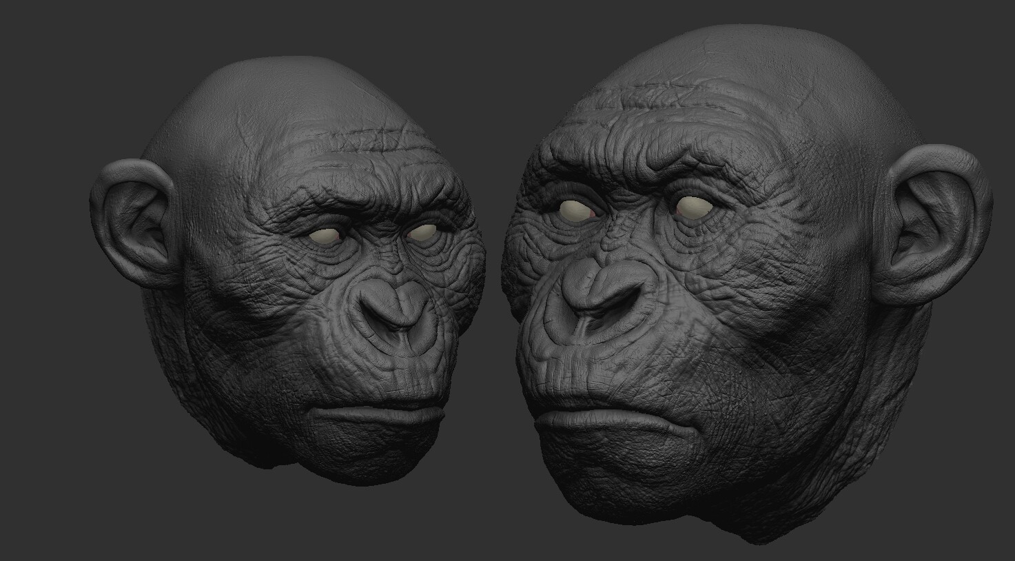 Arash Hadavi - Evolution