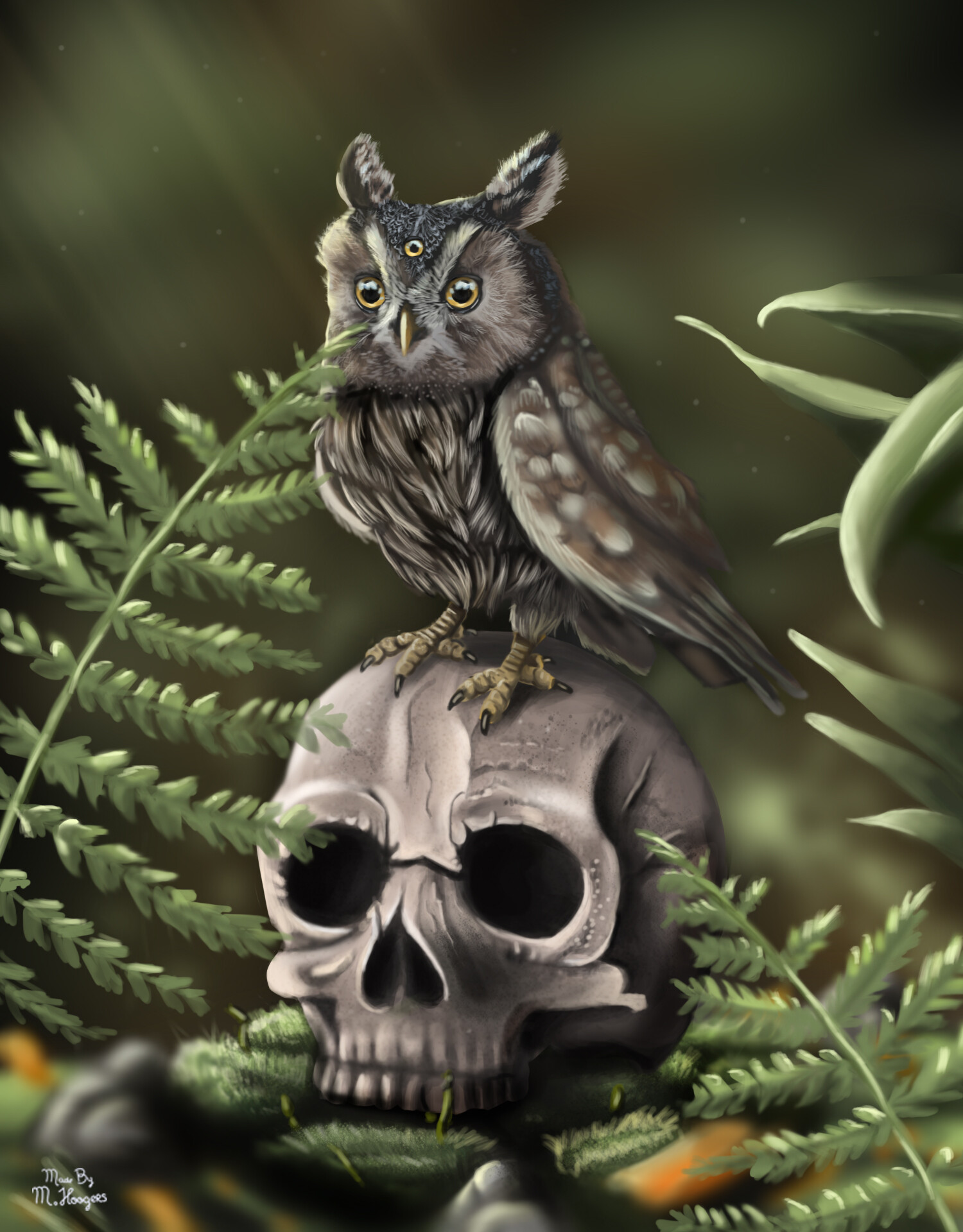 ArtStation - Owl on Skull