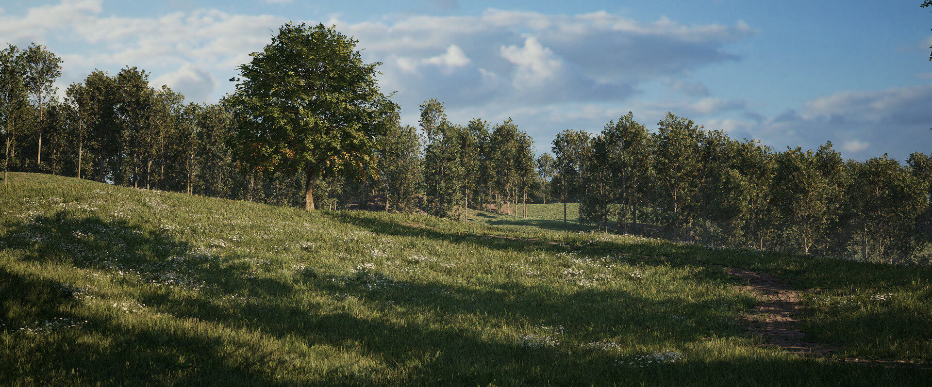 forest background sketchup