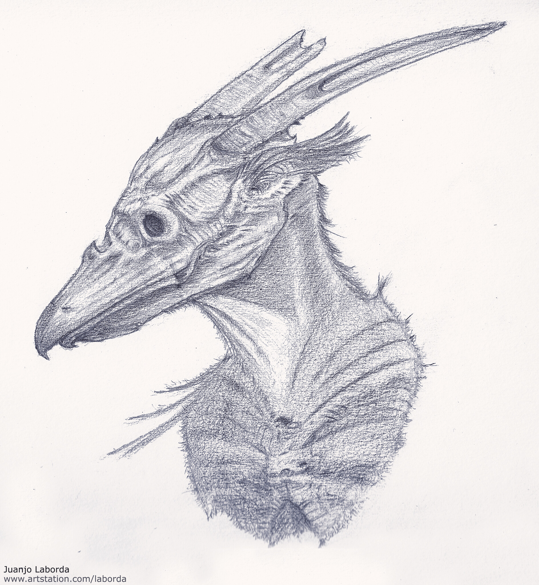 ArtStation - Undead Horned Vulture