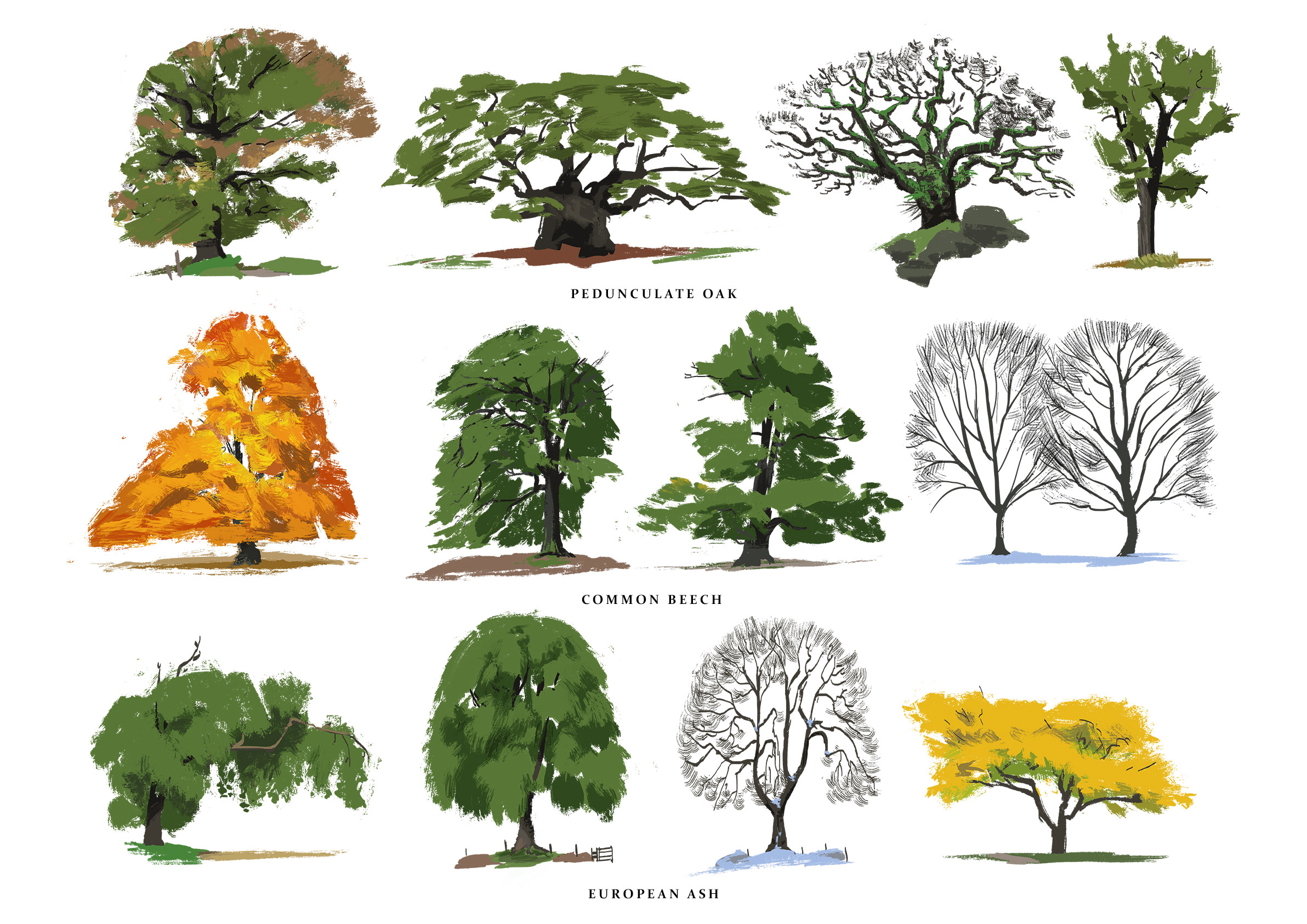 oriana-menendez-broadleaf-trees.jpg (2384×1686)