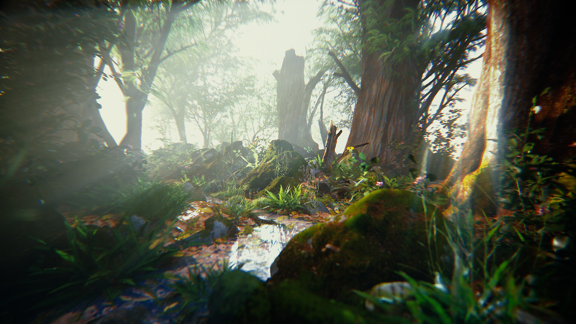 ArtStation - Forest ground
