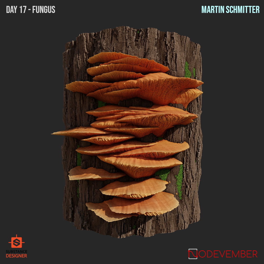 ArtStation - Nodevember 2020 - Day 17 - Fungus (Tree Fungus)
