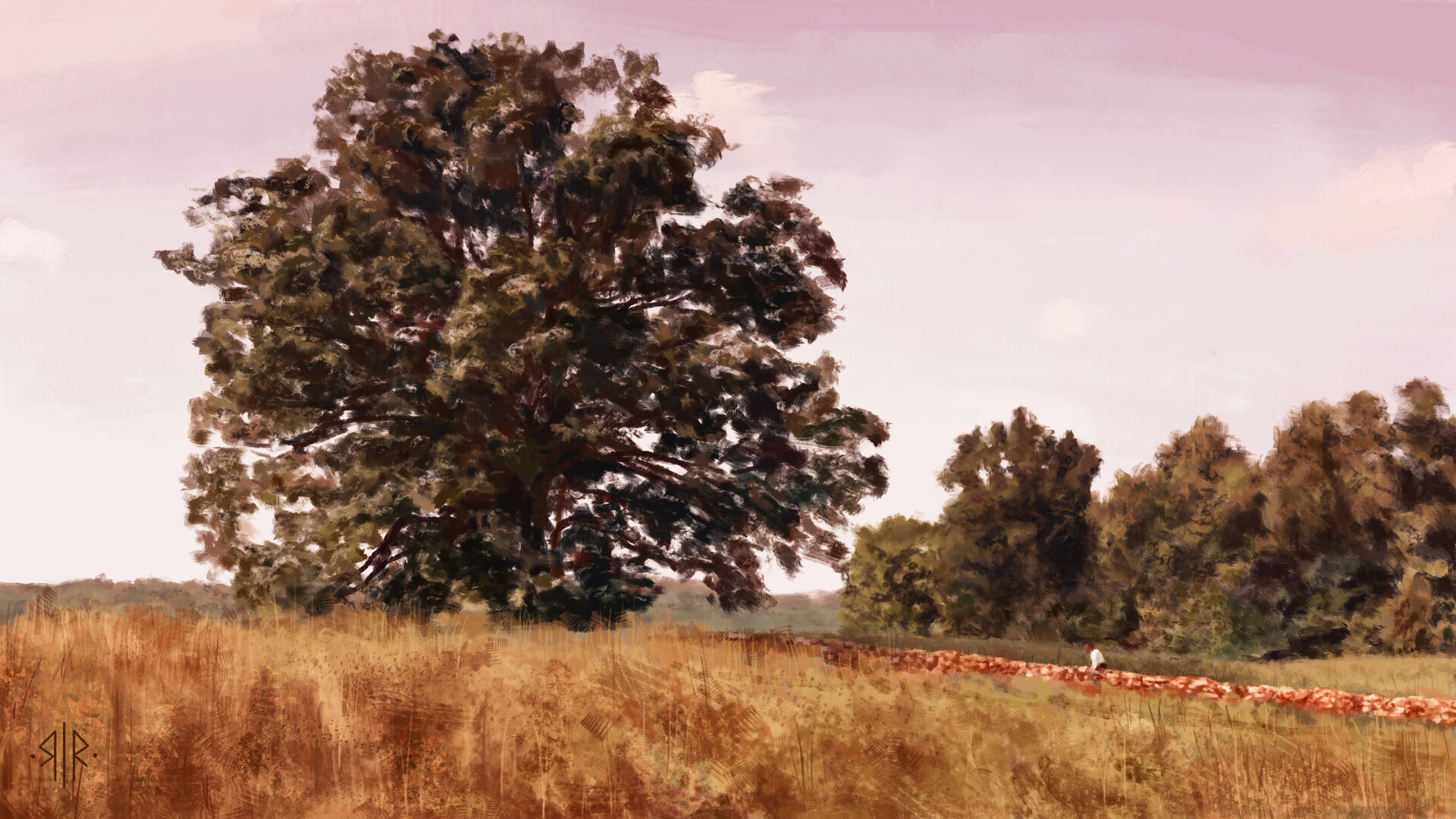 Randy Reza - Old Oak Tree, Buxton