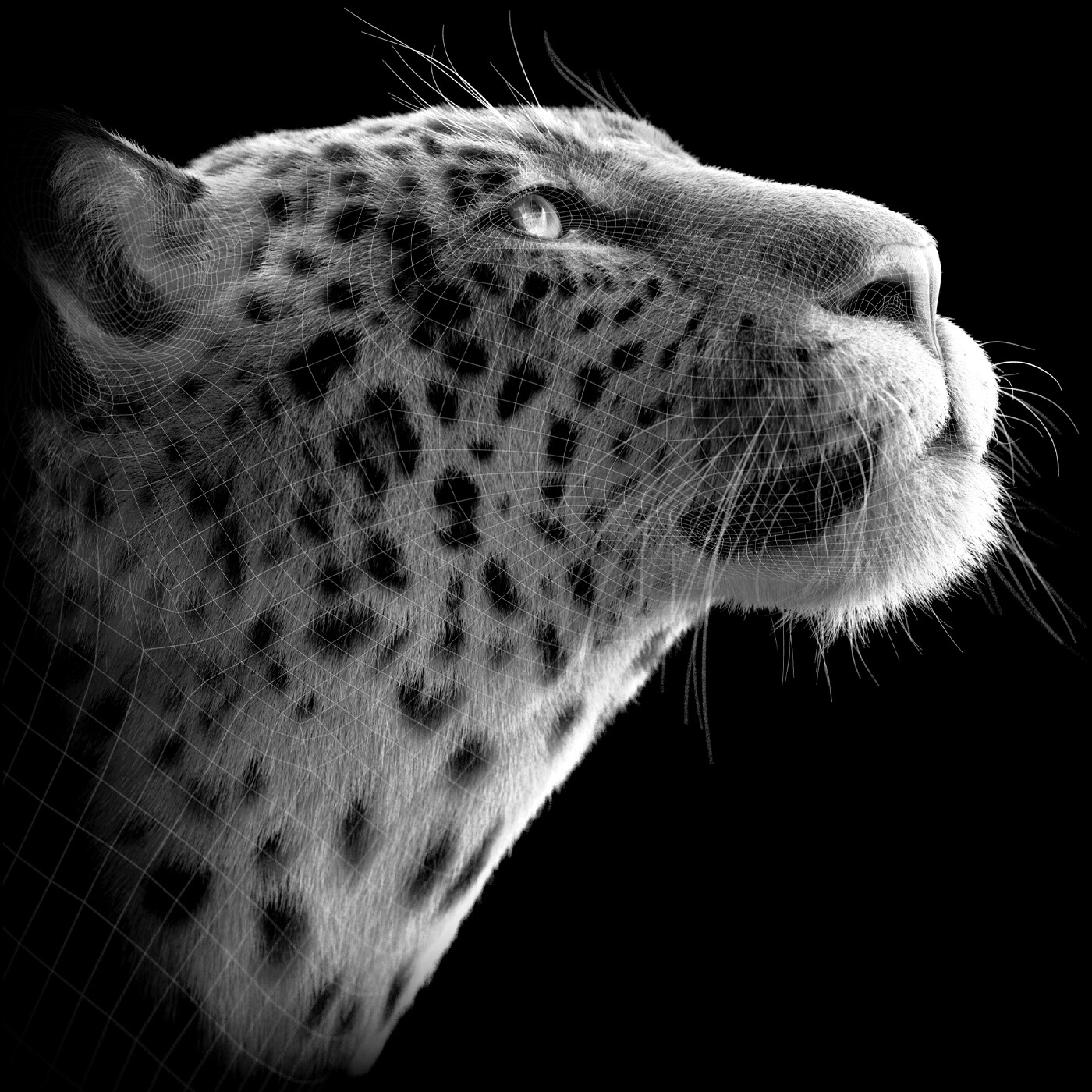 Massimo Righi - Jaguar (xgen)