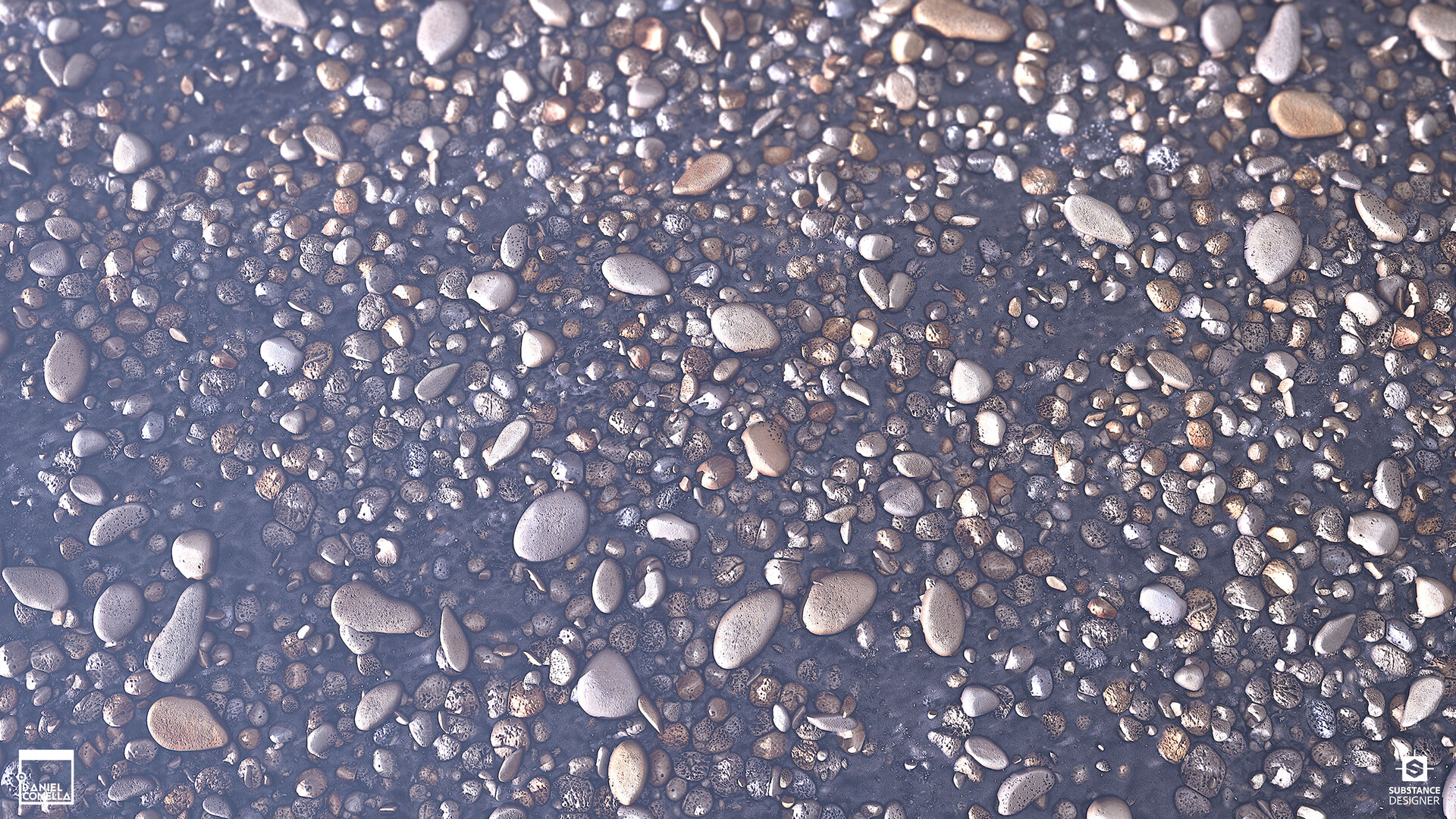 Daniel Comella Portfolio - Pebble Field