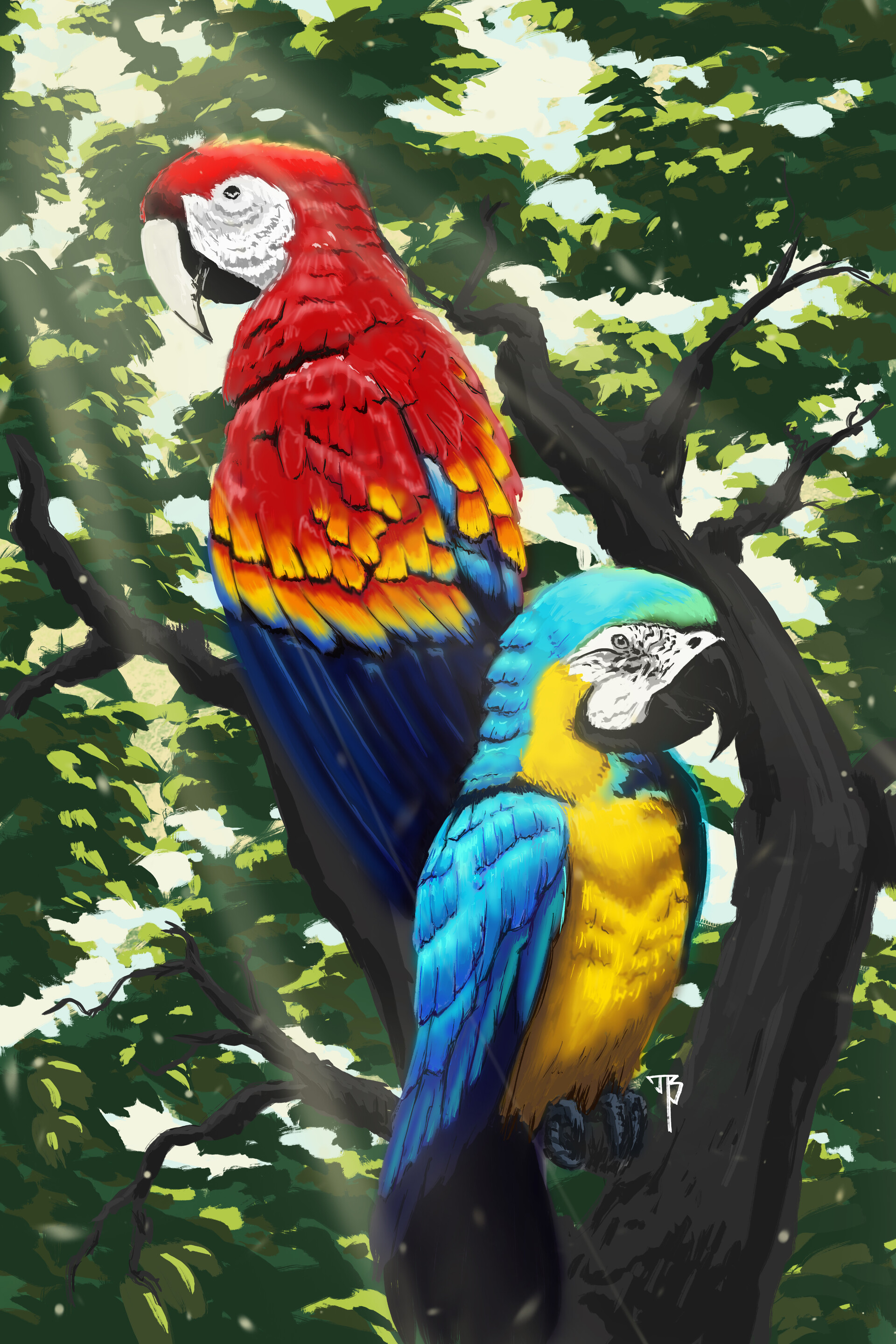 ArtStation - Parrots