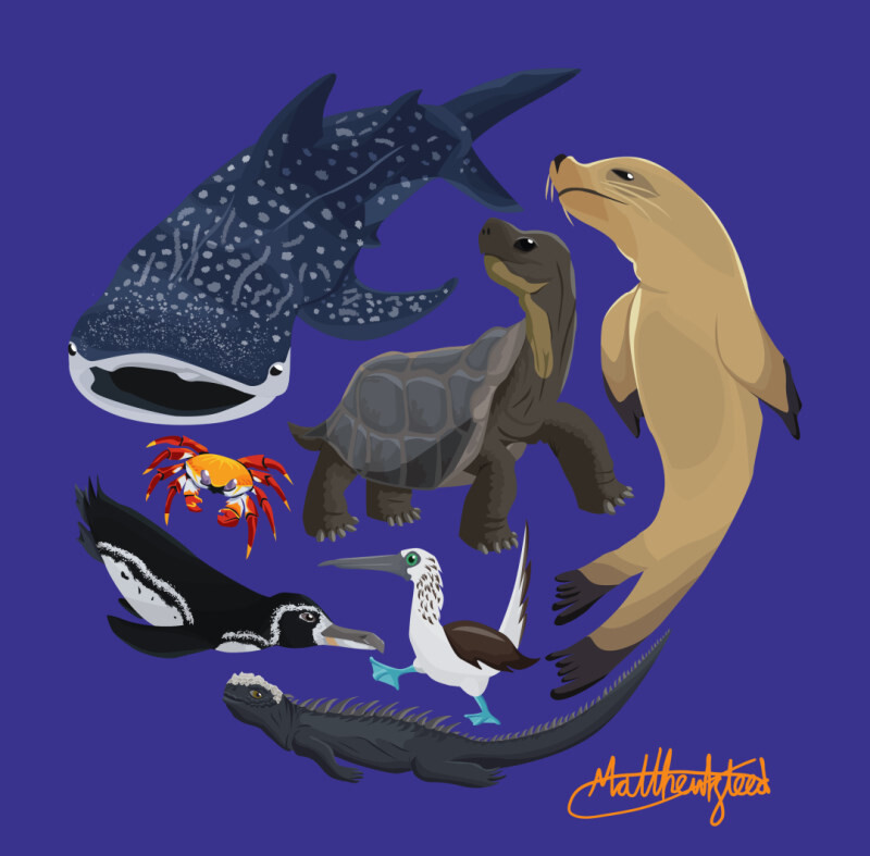ArtStation - Galapagos Ensemble Vector Design