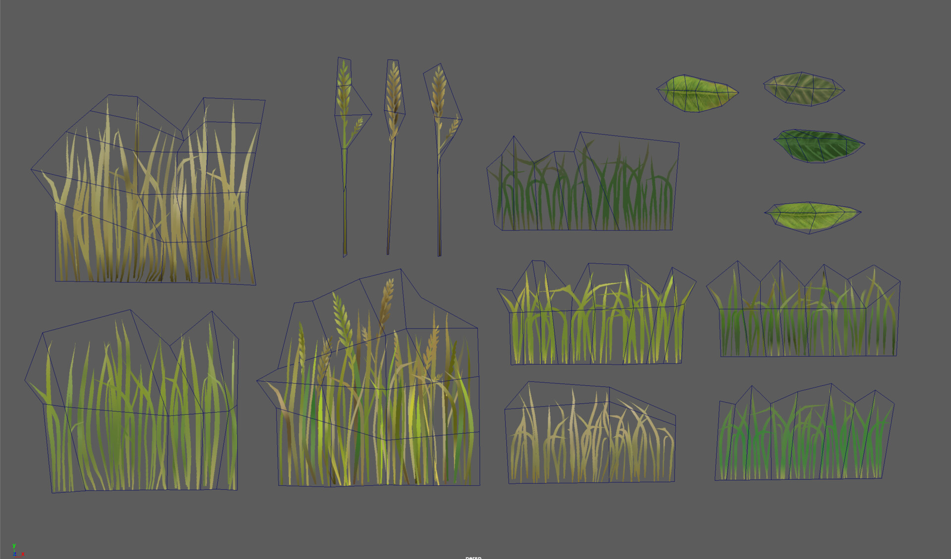 Alaa Elbarbary - Terrain Grass