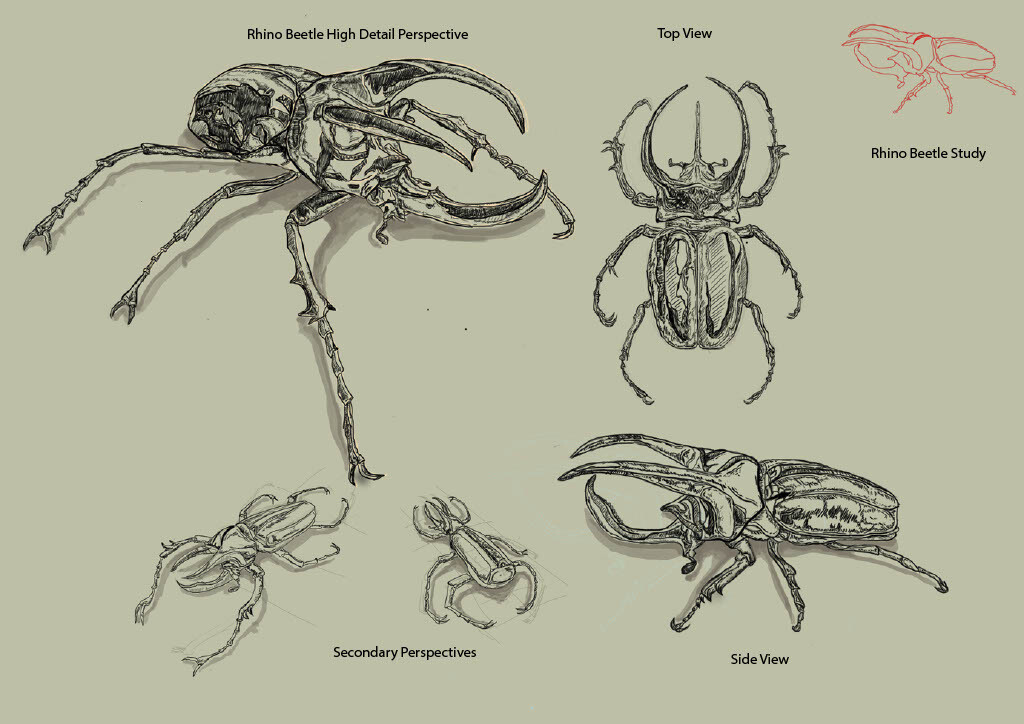 ArtStation - Rhino Beetle line art