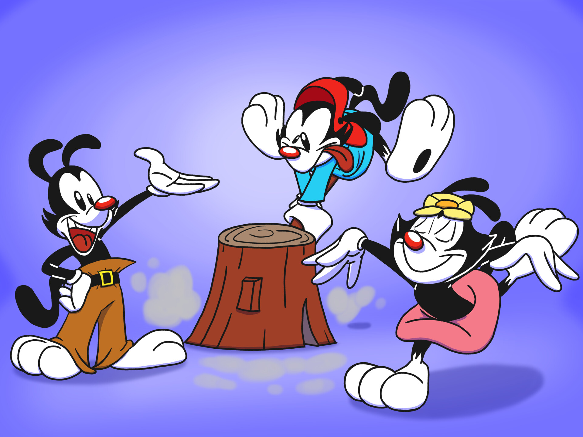 Animaniacs Wakko Wallpaper