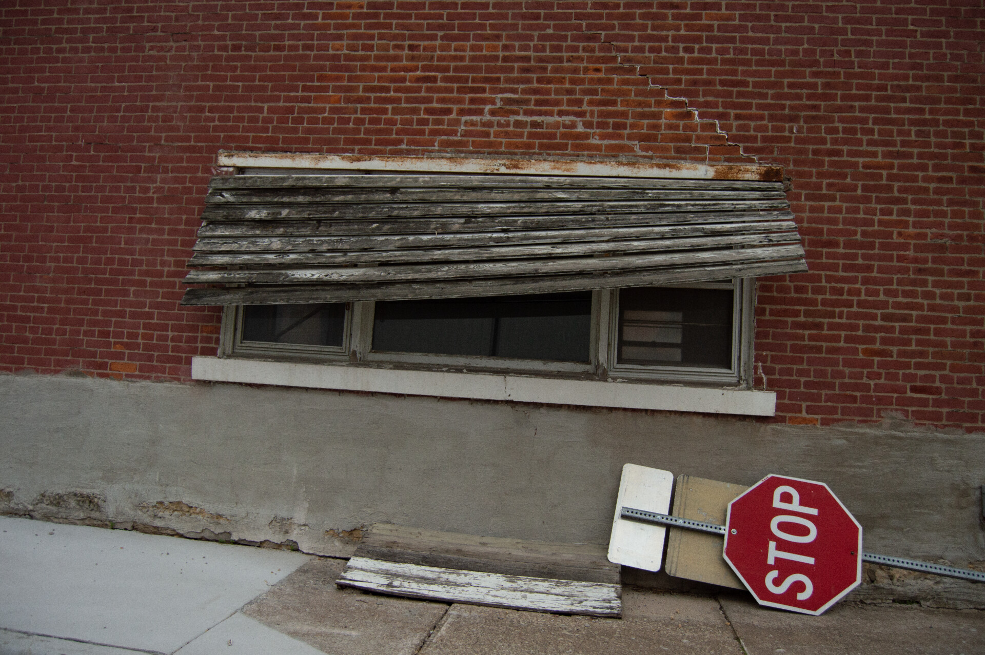 David Petratos - Window Creature