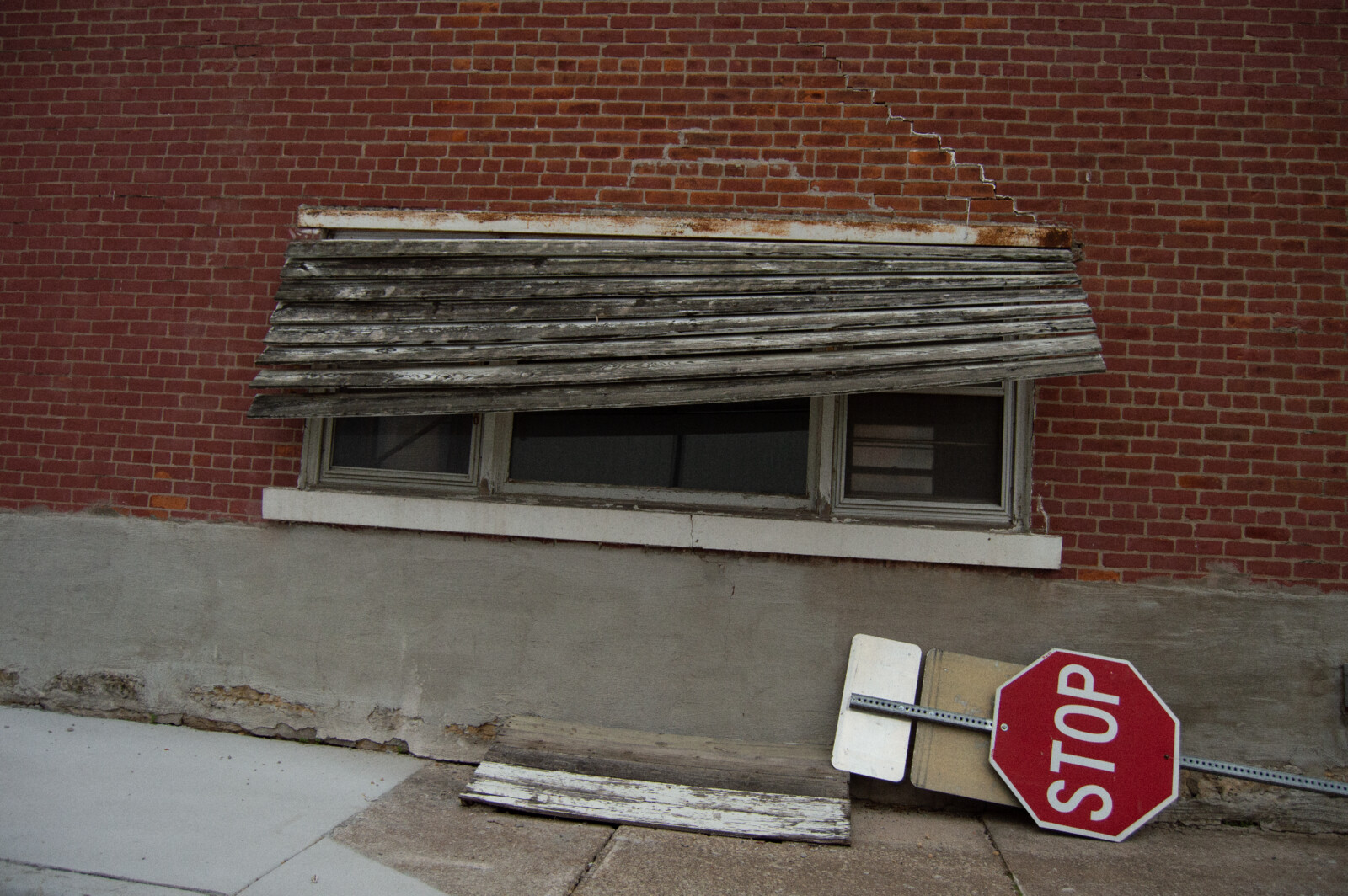 David Petratos - Window Creature