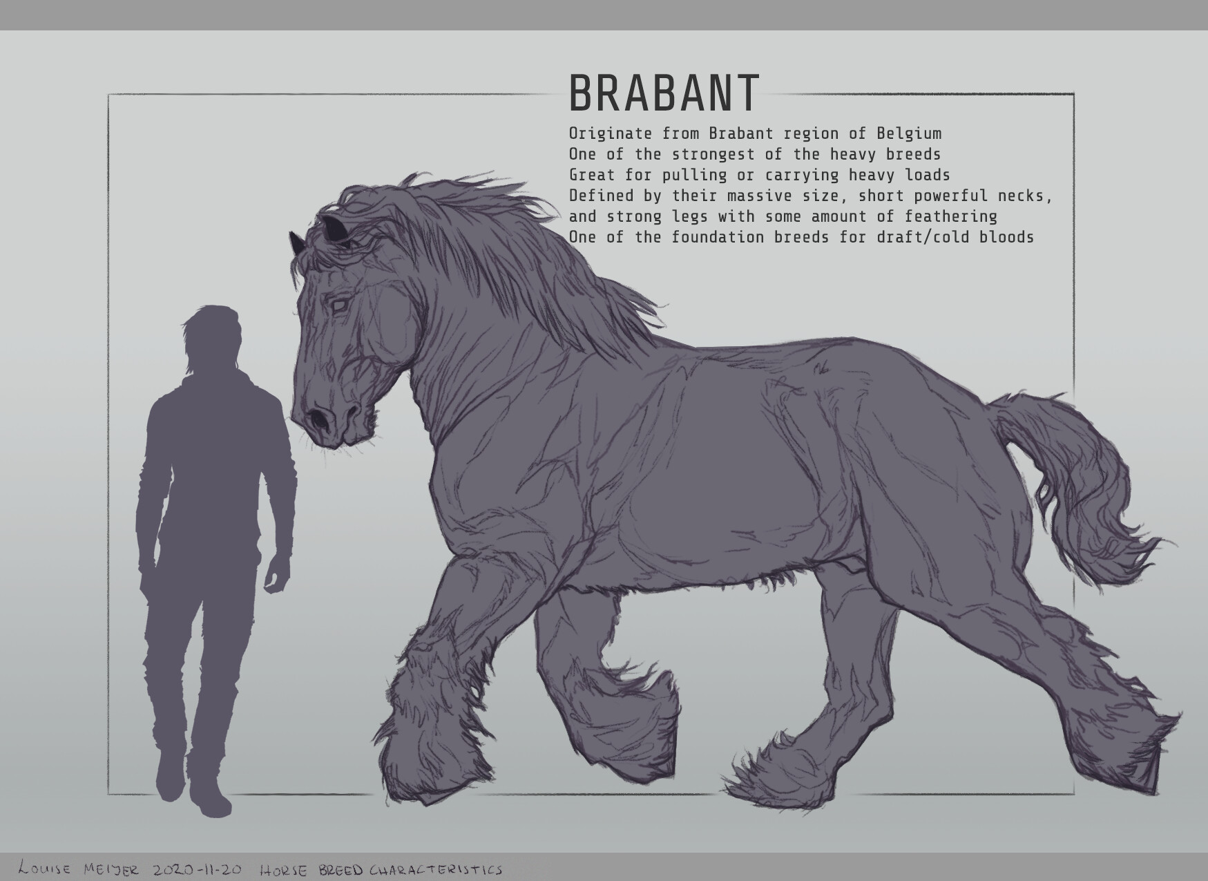 War Horse Breed