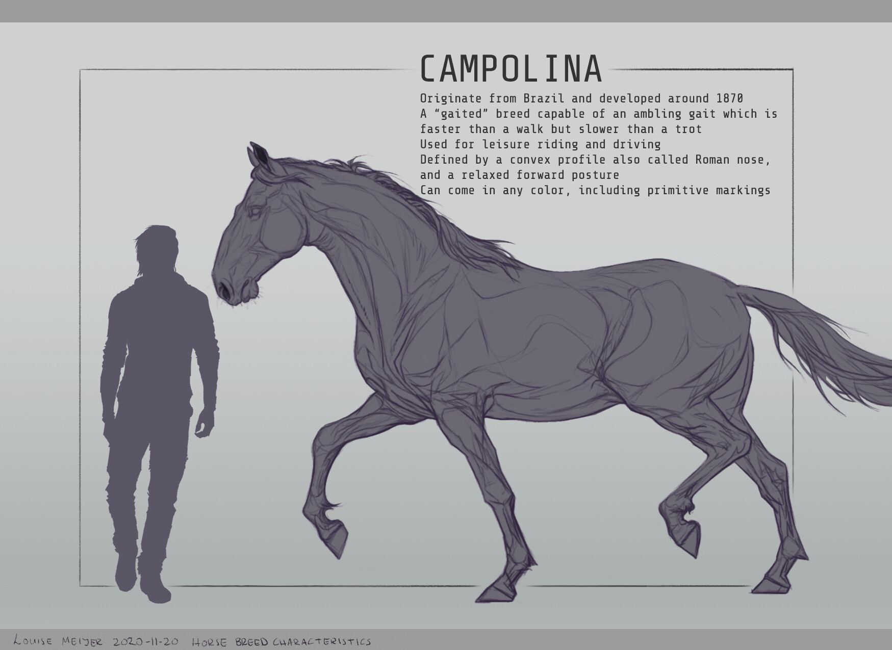 What Were Roman Horses Breeds