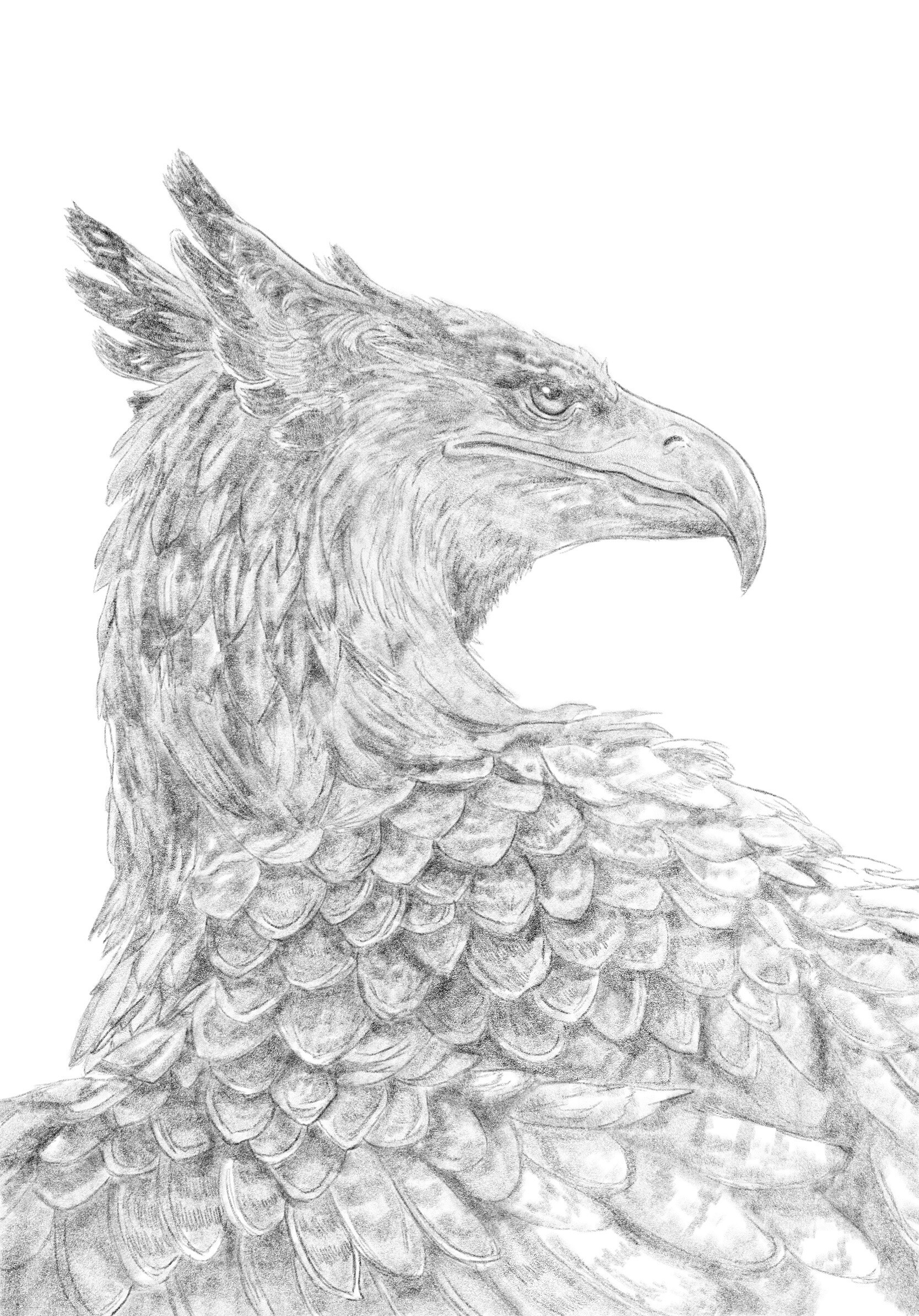 ArtStation - Griffin head