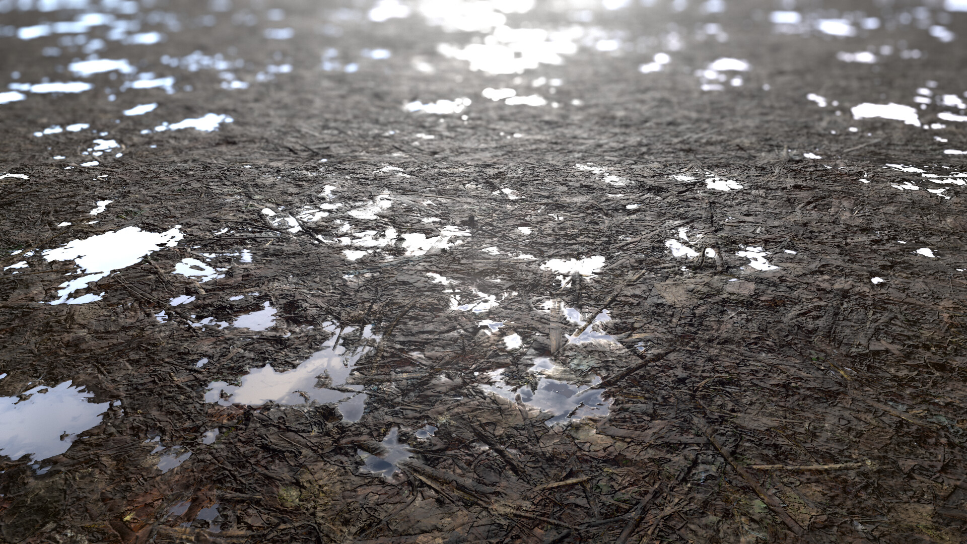 ArtStation - Forest Ground