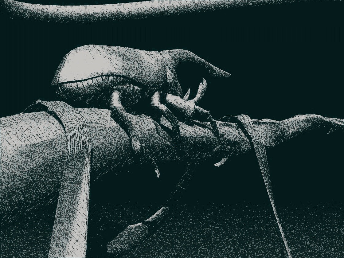 ArtStation - Bugs rhino