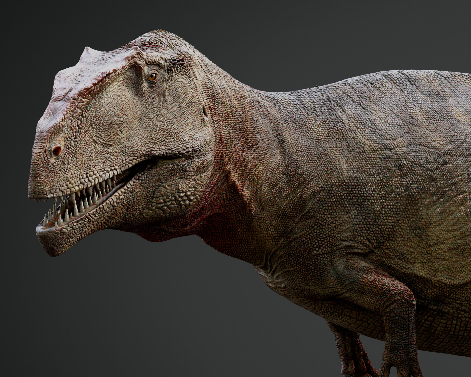 Max Bellomio Tyrannosaurus Rex 3d Model Life Reconstr - vrogue.co Max Bellomio Tyrannosaurus Rex 3d Model Life Reconstr - vrogue.co