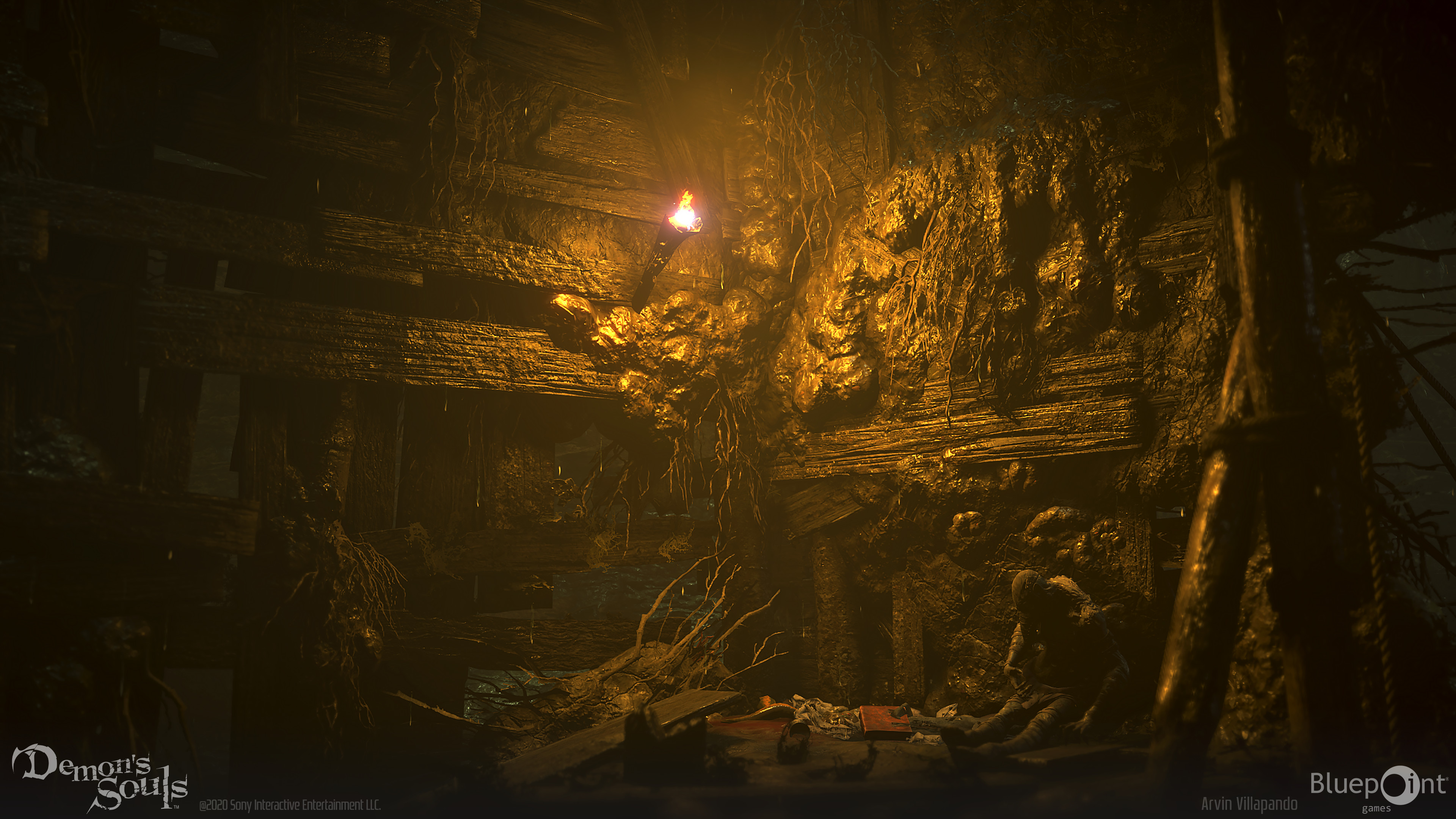 Arvin Villapando - Demon's Souls - Valley of Defilement 1