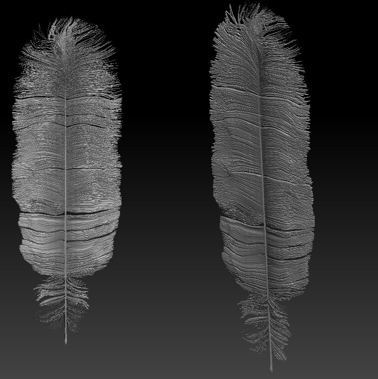 ArtStation - Feather