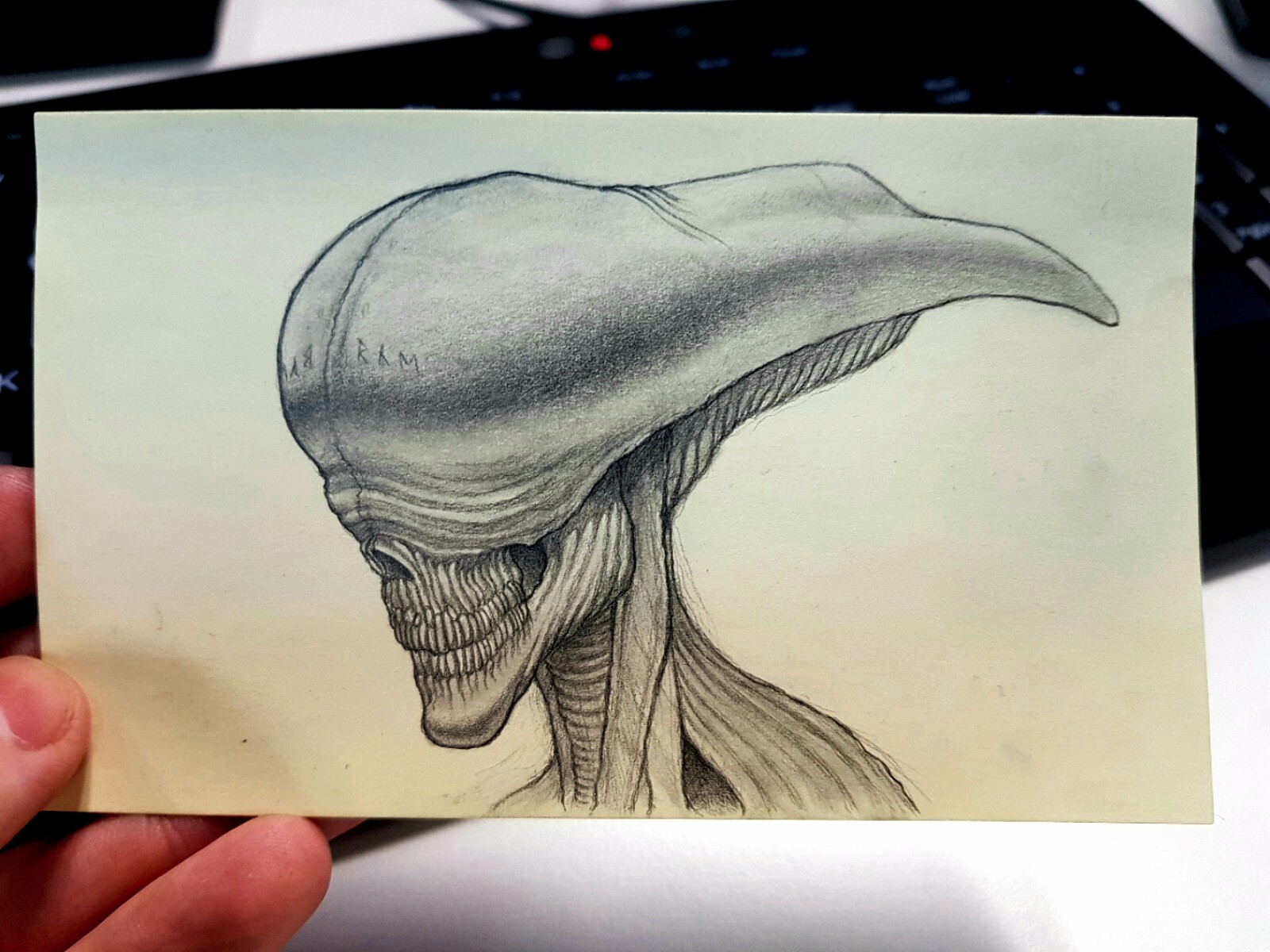 ArtStation - Alien sketch