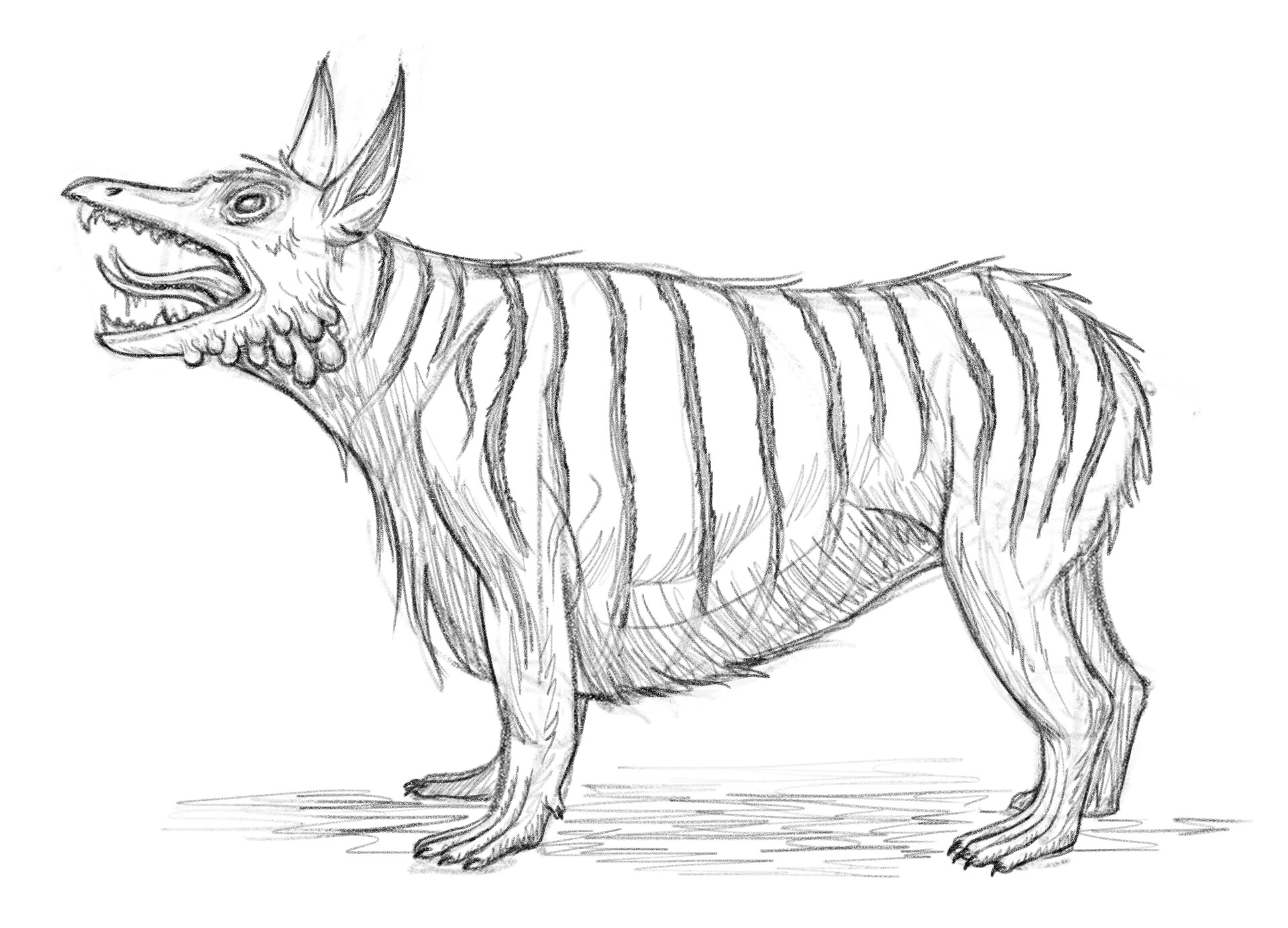 ArtStation - Creature Sketching 20