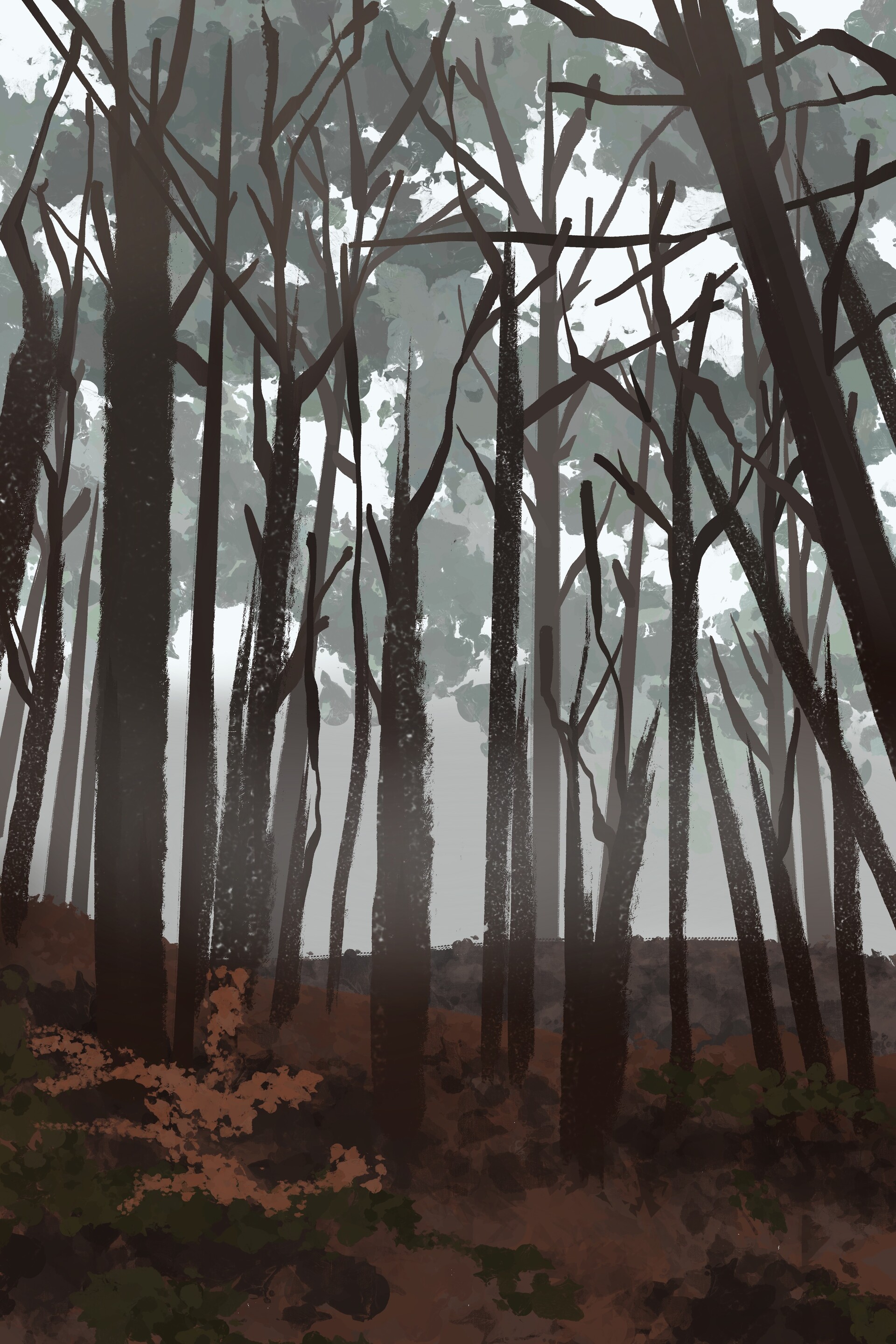 ArtStation - Nature Photo Studies Pt. 1 (July 2020)