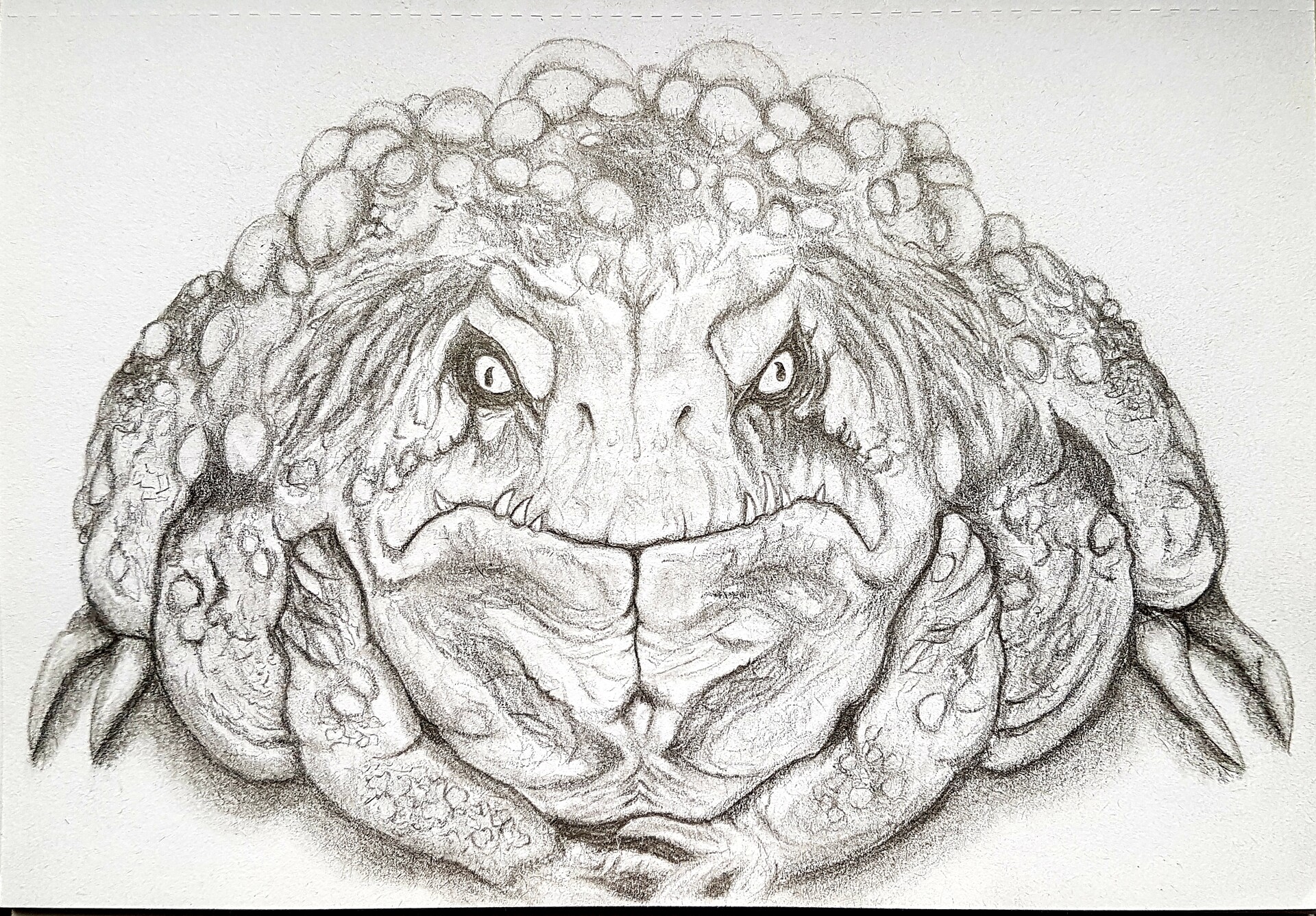 ArtStation - Toad Prince