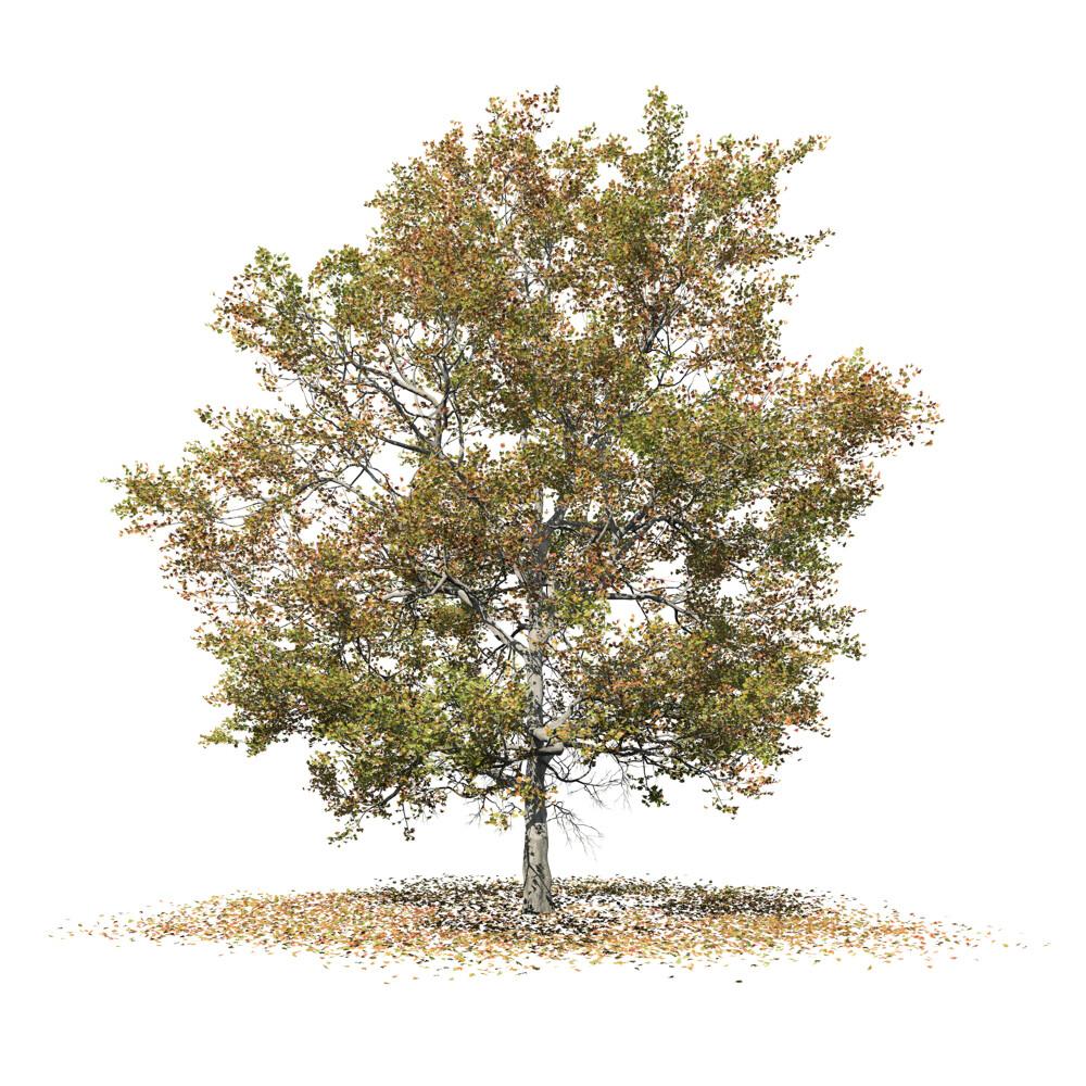 ArtStation - London Plane VFX