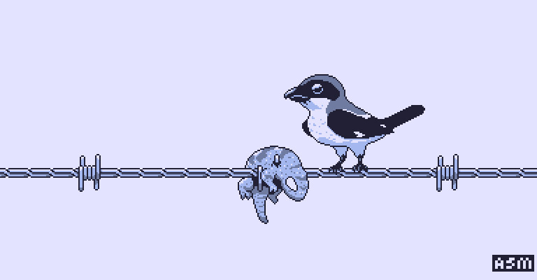 ArtStation - Loggerhead Shrike