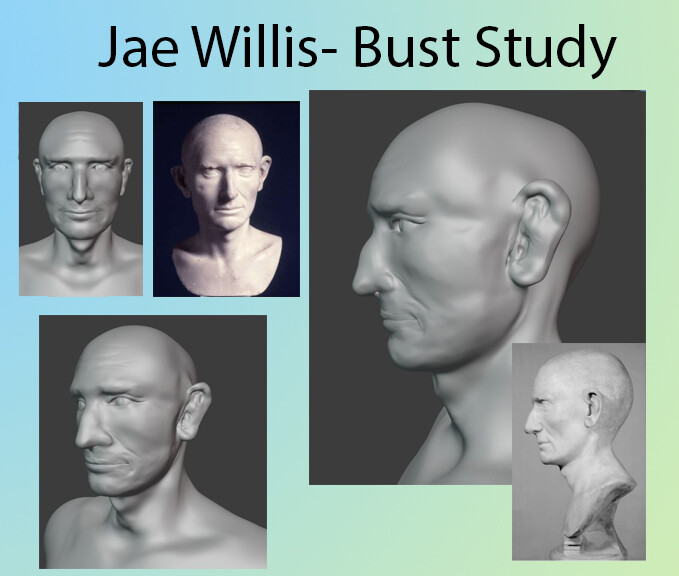 ArtStation - Classical bust study