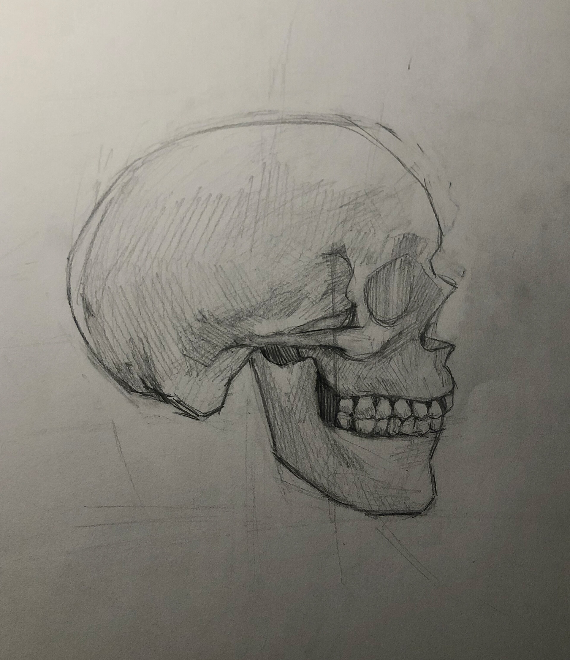 ArtStation - Skull Sketches