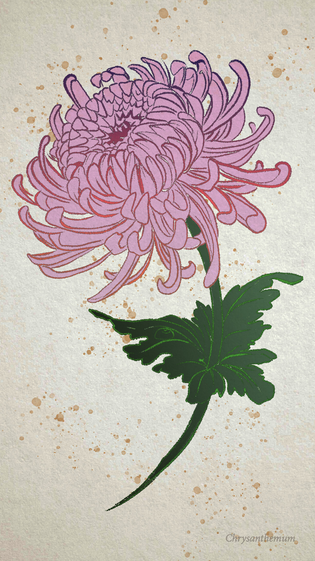 ArtStation - Crisantemo