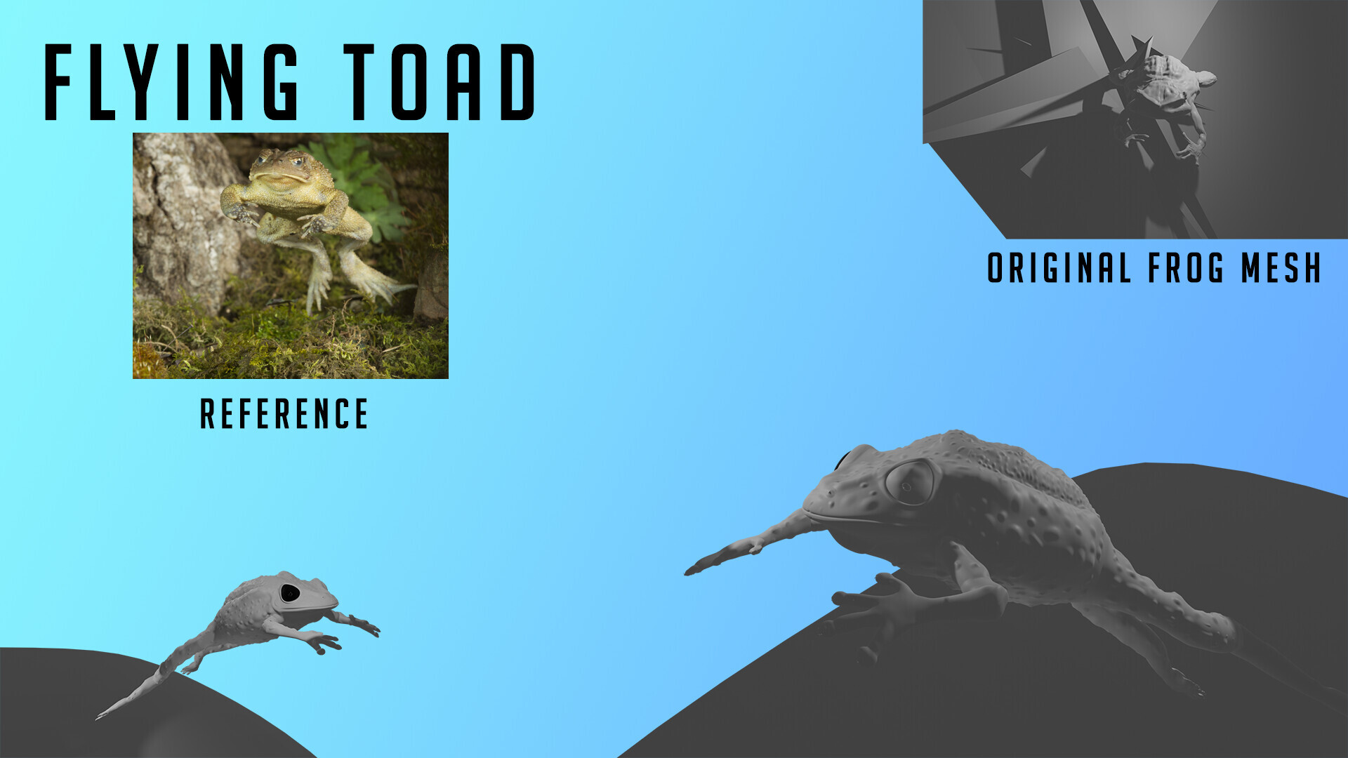 ArtStation - Animal From Nature